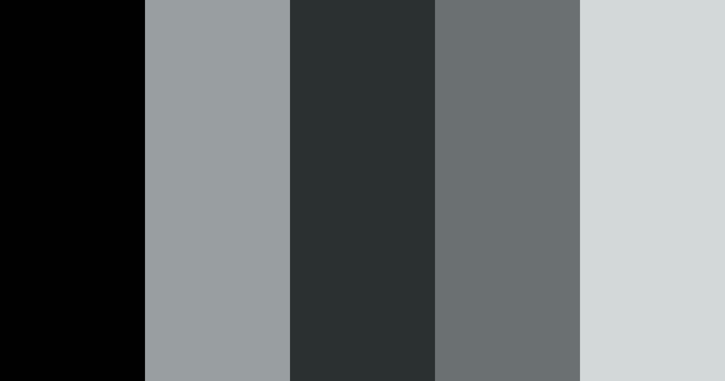 Color Palette generated based on #010101, #999EA1, #2B3031, #6B7072 ...