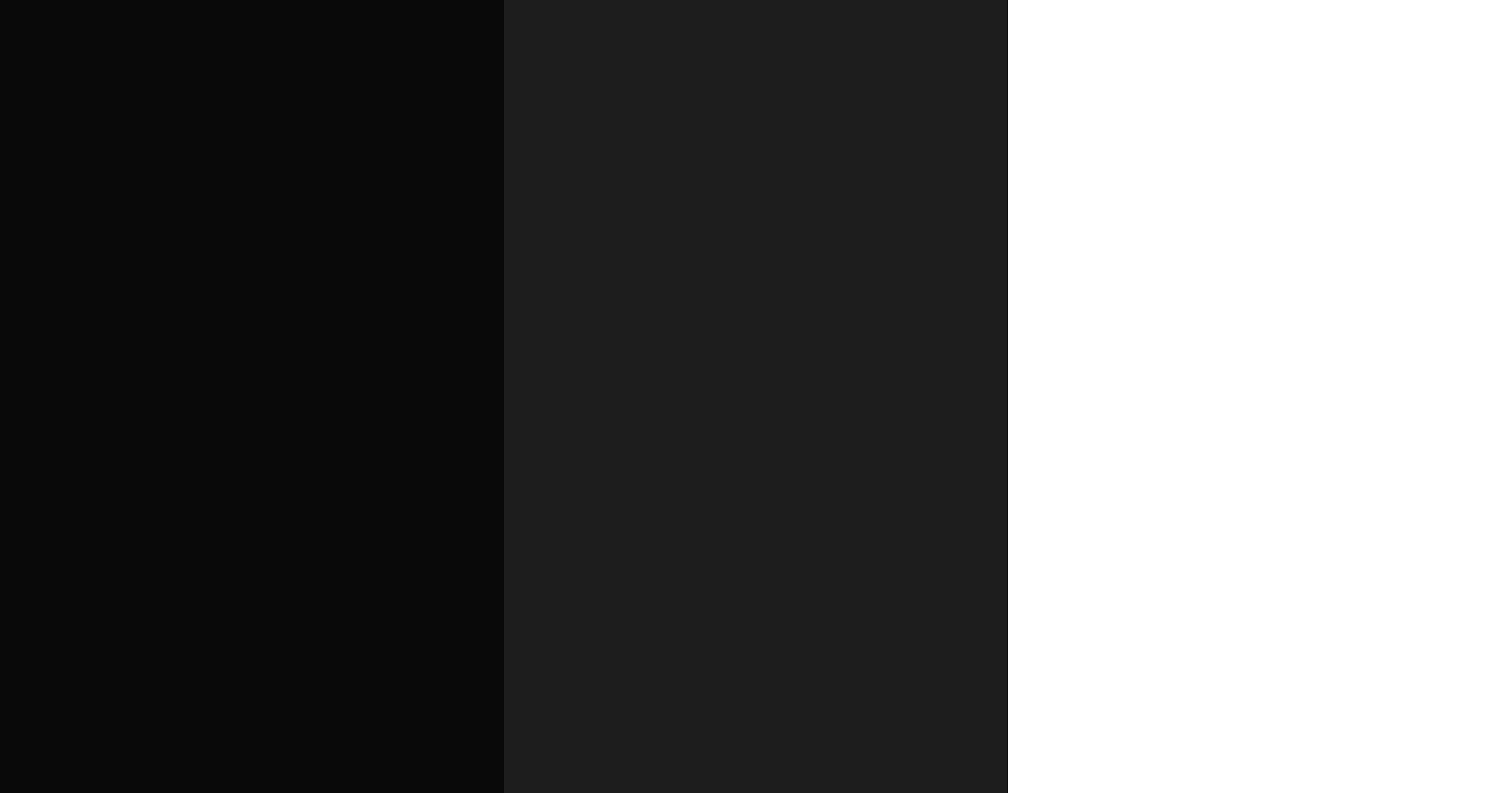Color Palette generated based on #090909, #1D1D1D, and #FFFFFF.