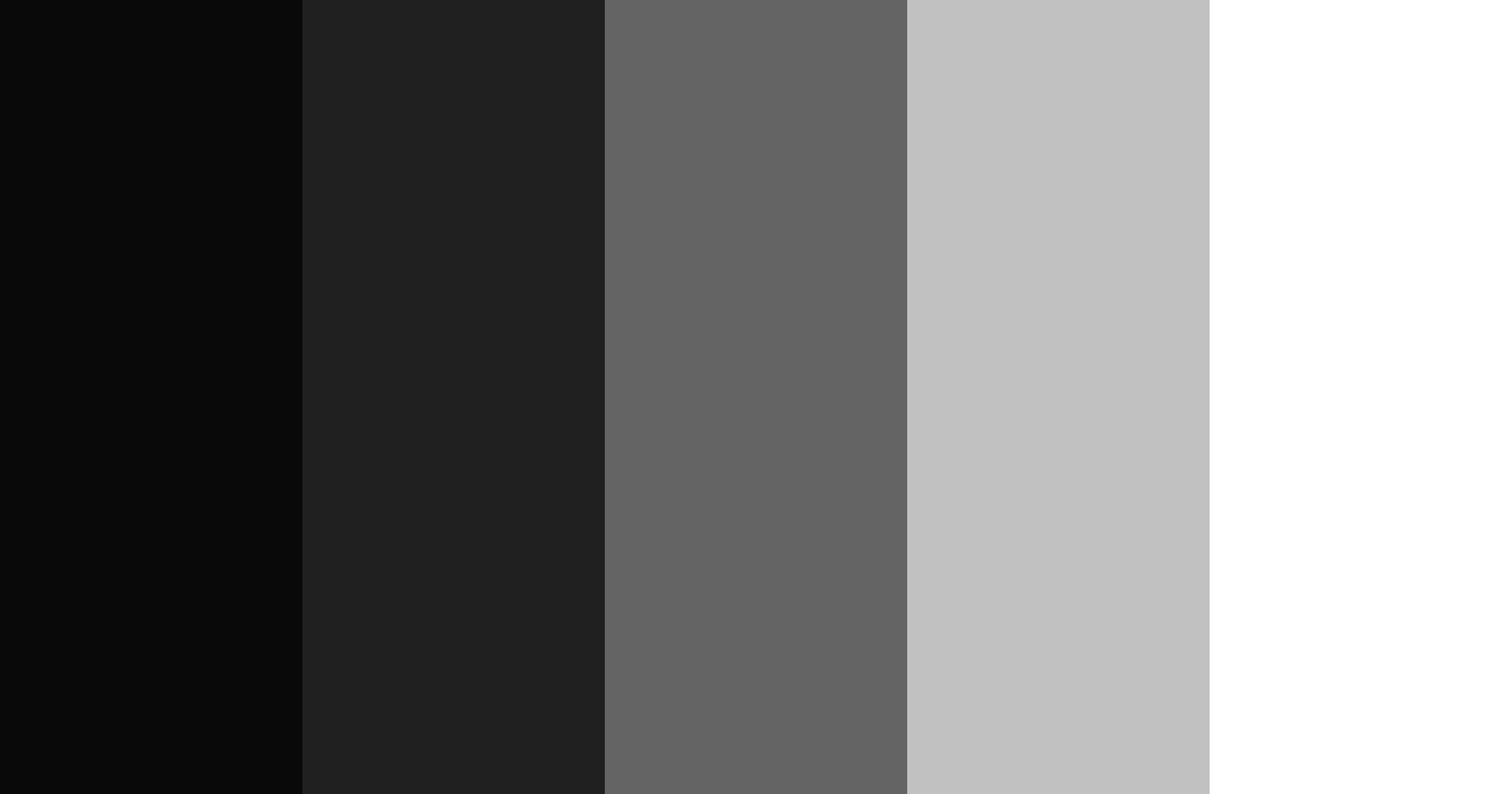 Color Palette generated based on #090909, #202020, #646464, #C1C1C1 ...