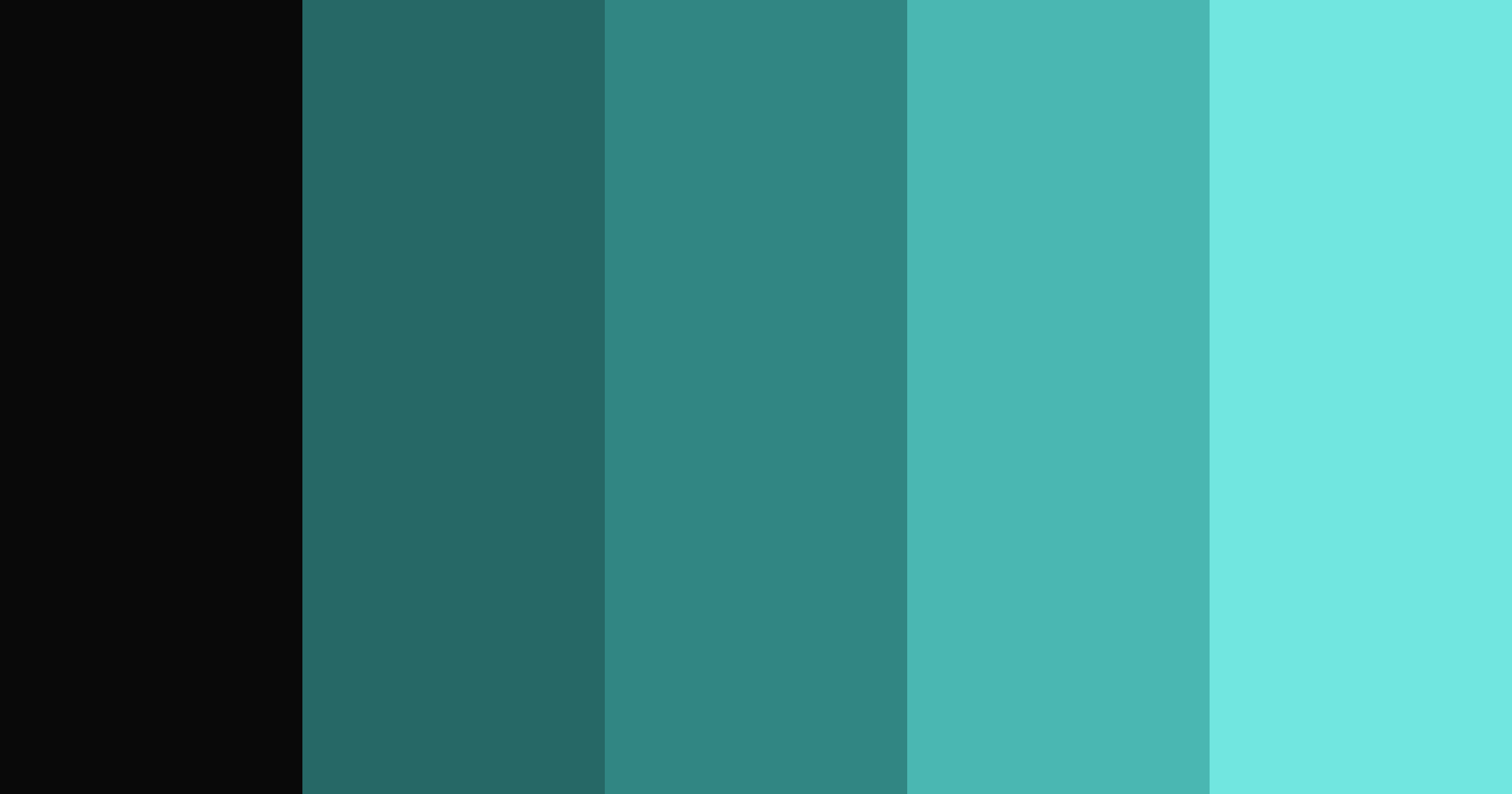 Color Palette generated based on #090909, #256865, #318683, #4AB7B3 ...
