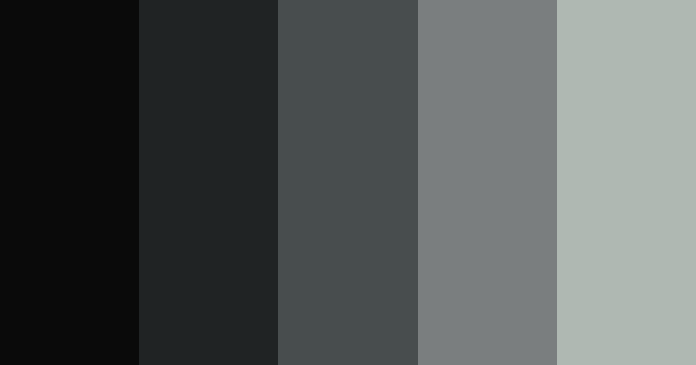 Color Palette generated based on #0A0A0A, #202324, #484D4E, #7A7E7F ...