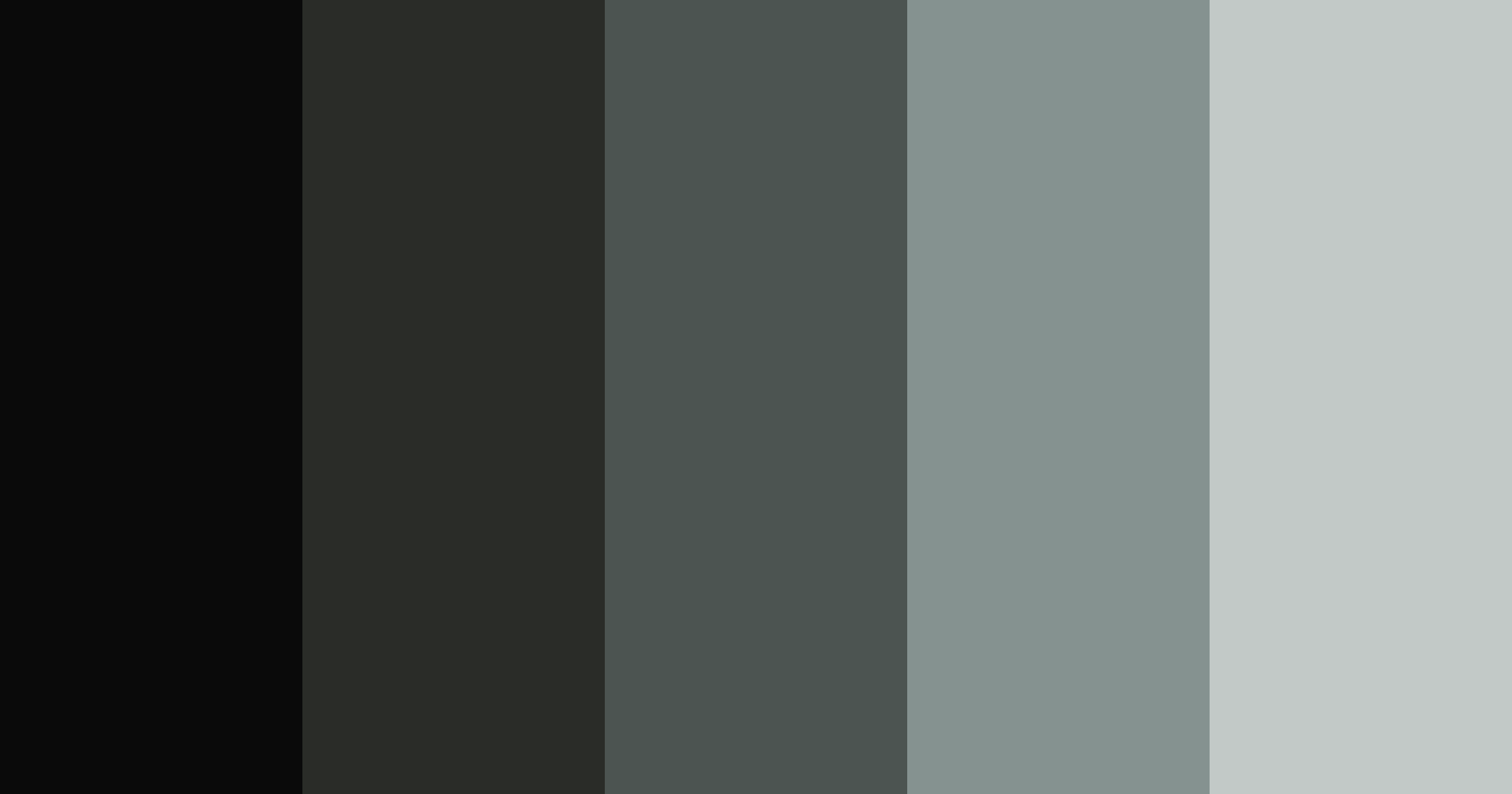 Color Palette generated based on #0A0A0A, #2A2C28, #4C5451, #859290 ...