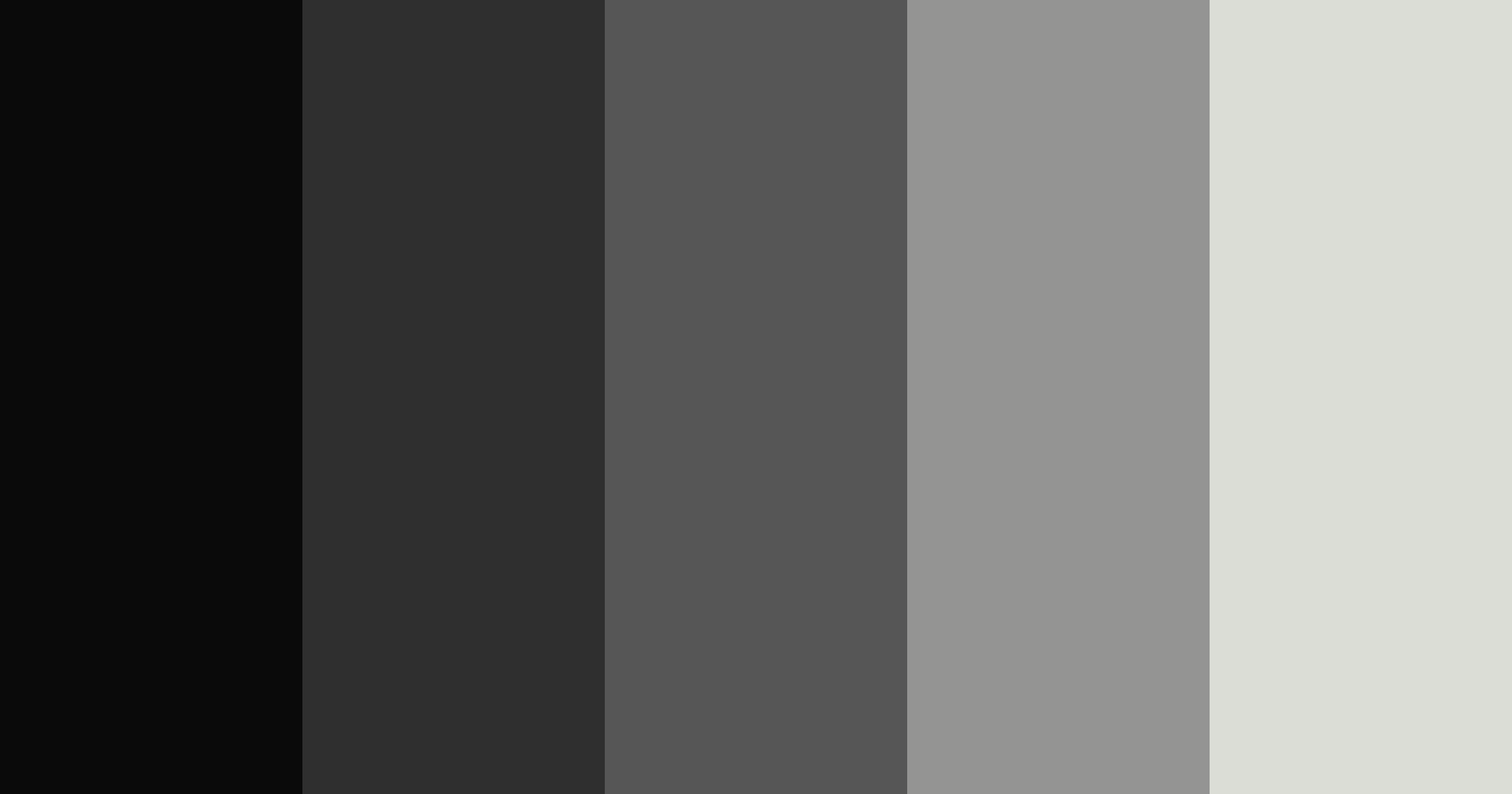 Color Palette generated based on #0A0A0A, #2F2F2F, #565656, #949493 ...
