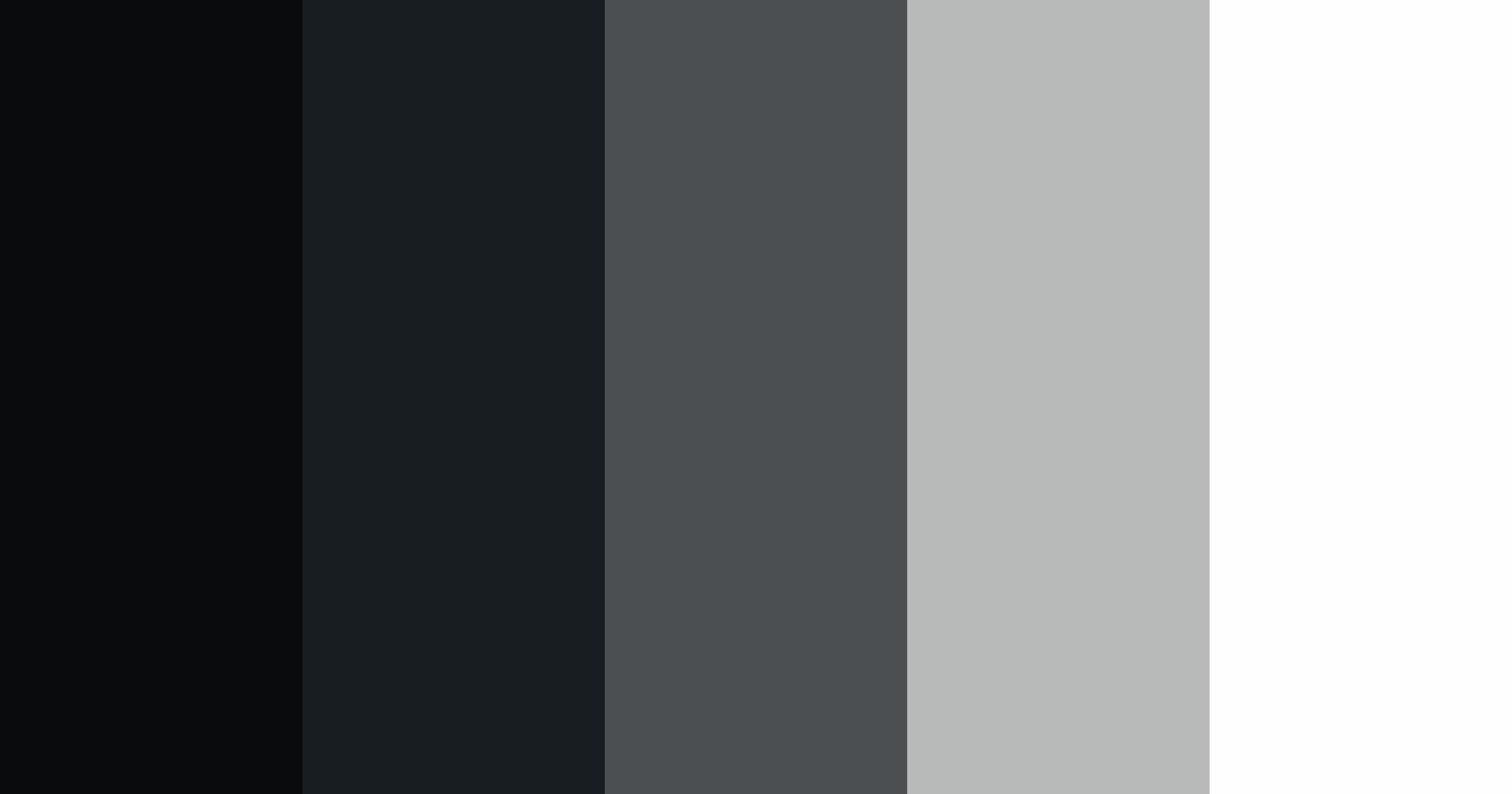 Color Palette generated based on #0A0B0C, #171D20, #4B4F51, #B8B9B9 ...