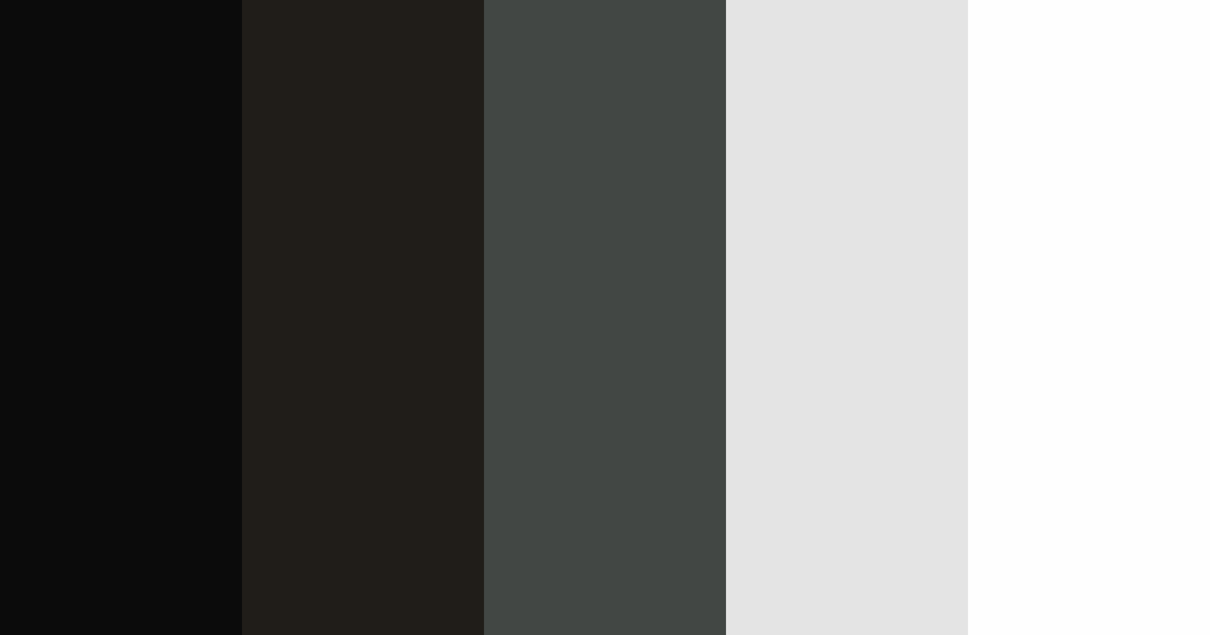 Color Palette generated based on #0B0B0B, #201D19, #424744, #E4E4E4 ...