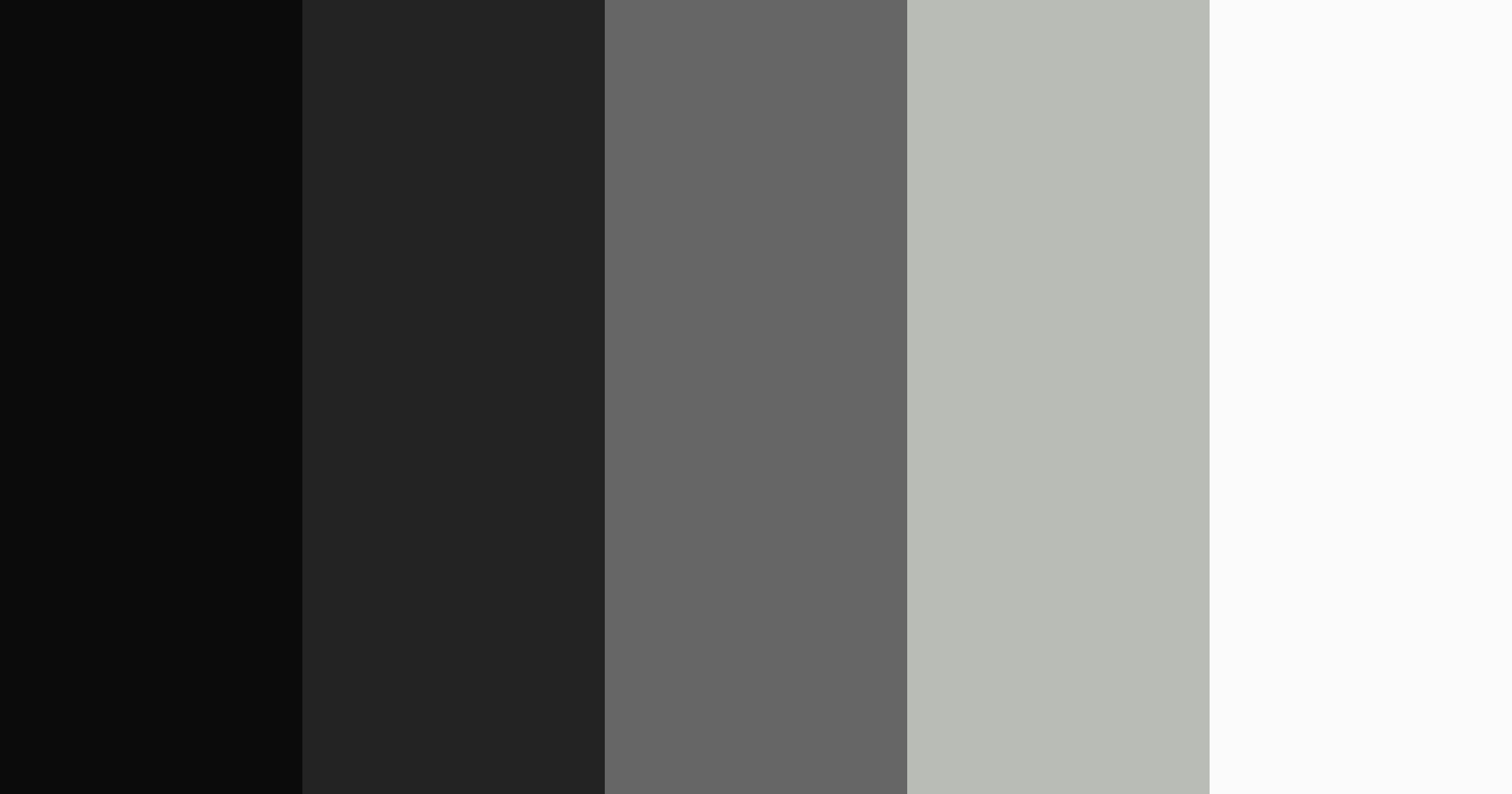 Color Palette generated based on #0B0B0B, #232323, #666666, #B9BCB6 ...