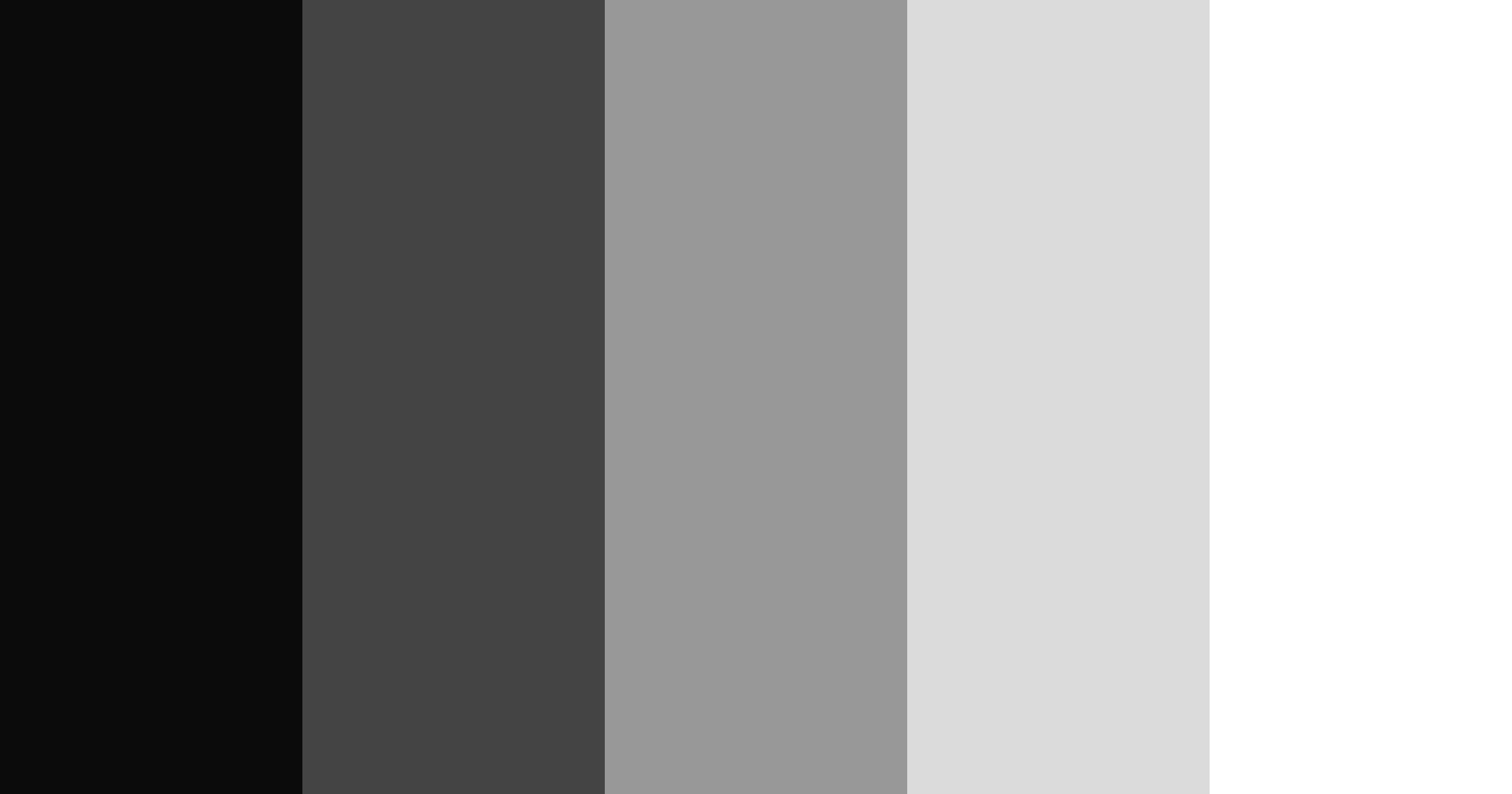 Color Palette generated based on #0B0B0B, #444444, #989898, #DBDBDB ...