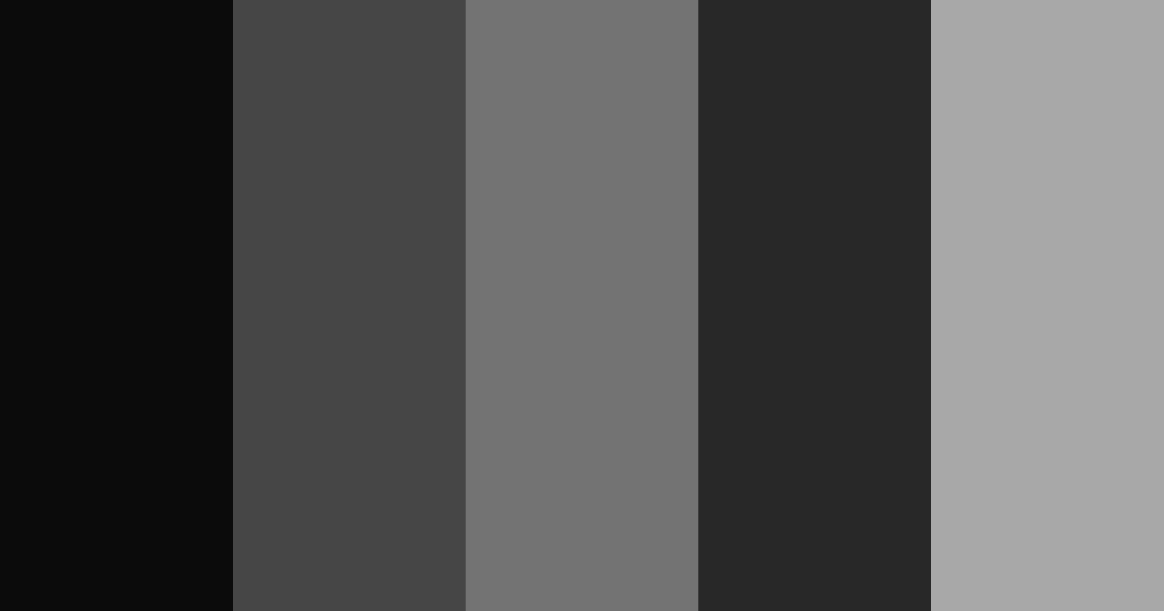 Color Palette generated based on #0B0B0B, #464646, #737373, #282828 ...