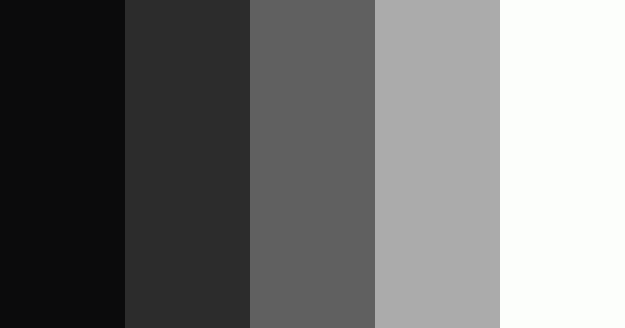 Color Palette generated based on #0B0B0C, #2C2C2C, #606060, #ABABAB ...