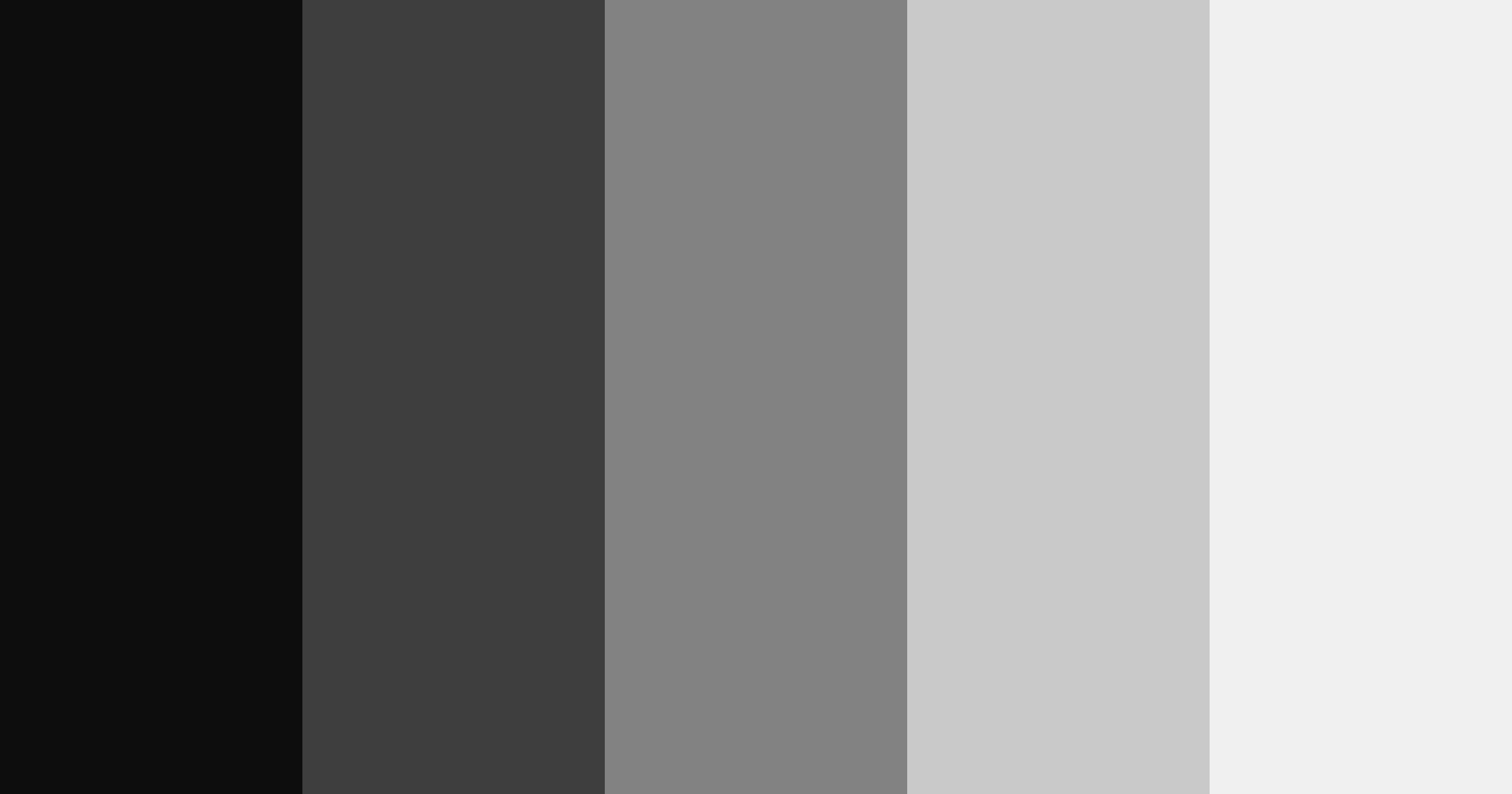 Color Palette generated based on #0D0D0D, #3E3E3E, #828282, #C9C9C9 ...