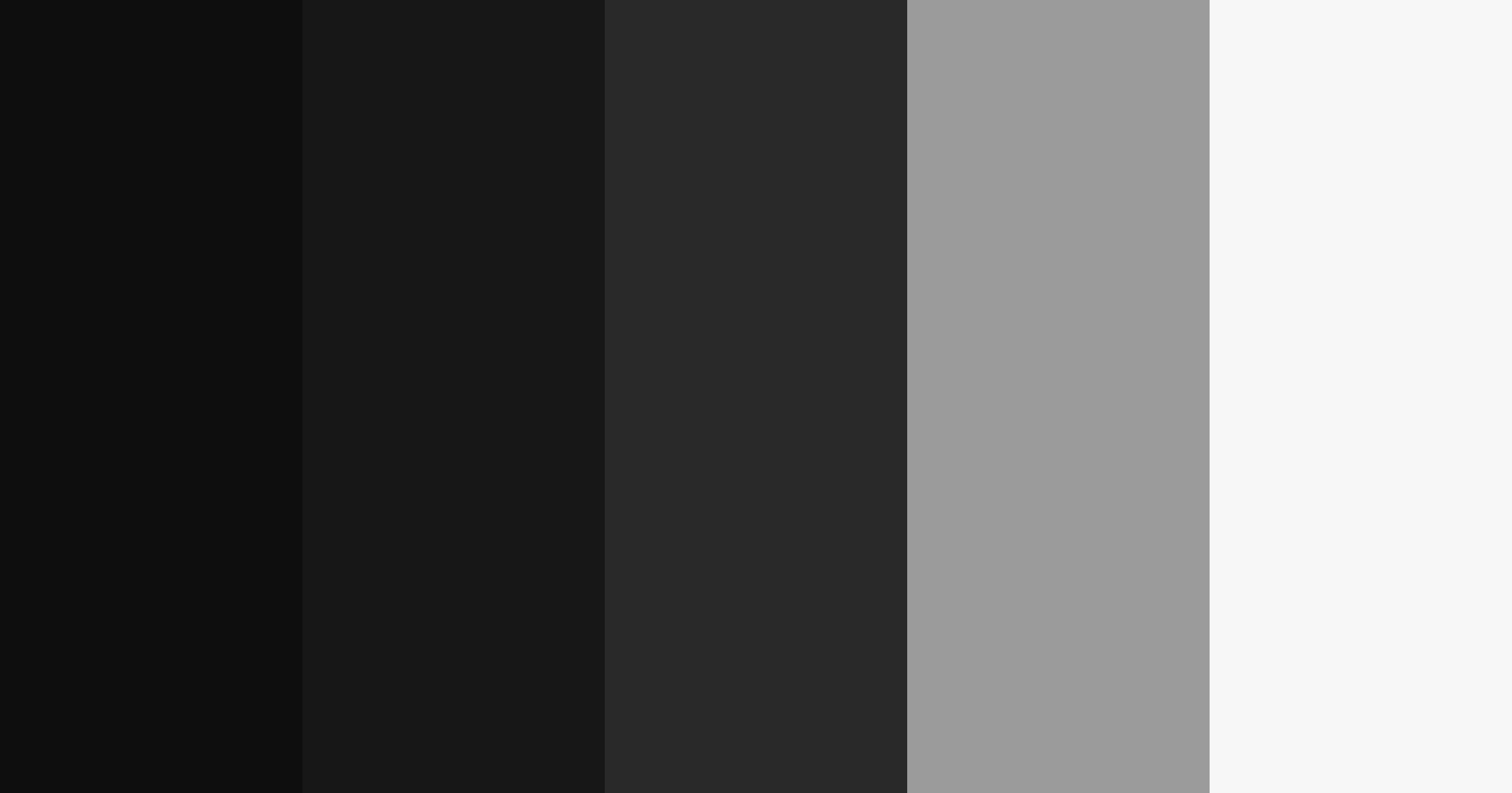 Color Palette generated based on #0E0E0E, #171717, #292929, #9B9B9B ...