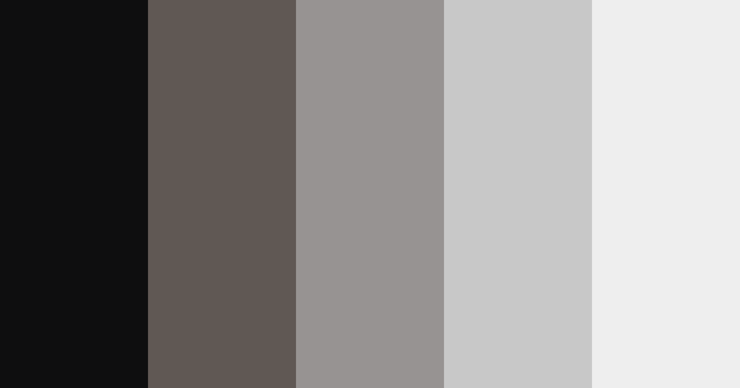 Color Palette generated based on #0E0E0F, #605854, #979392, #C8C8C8 ...
