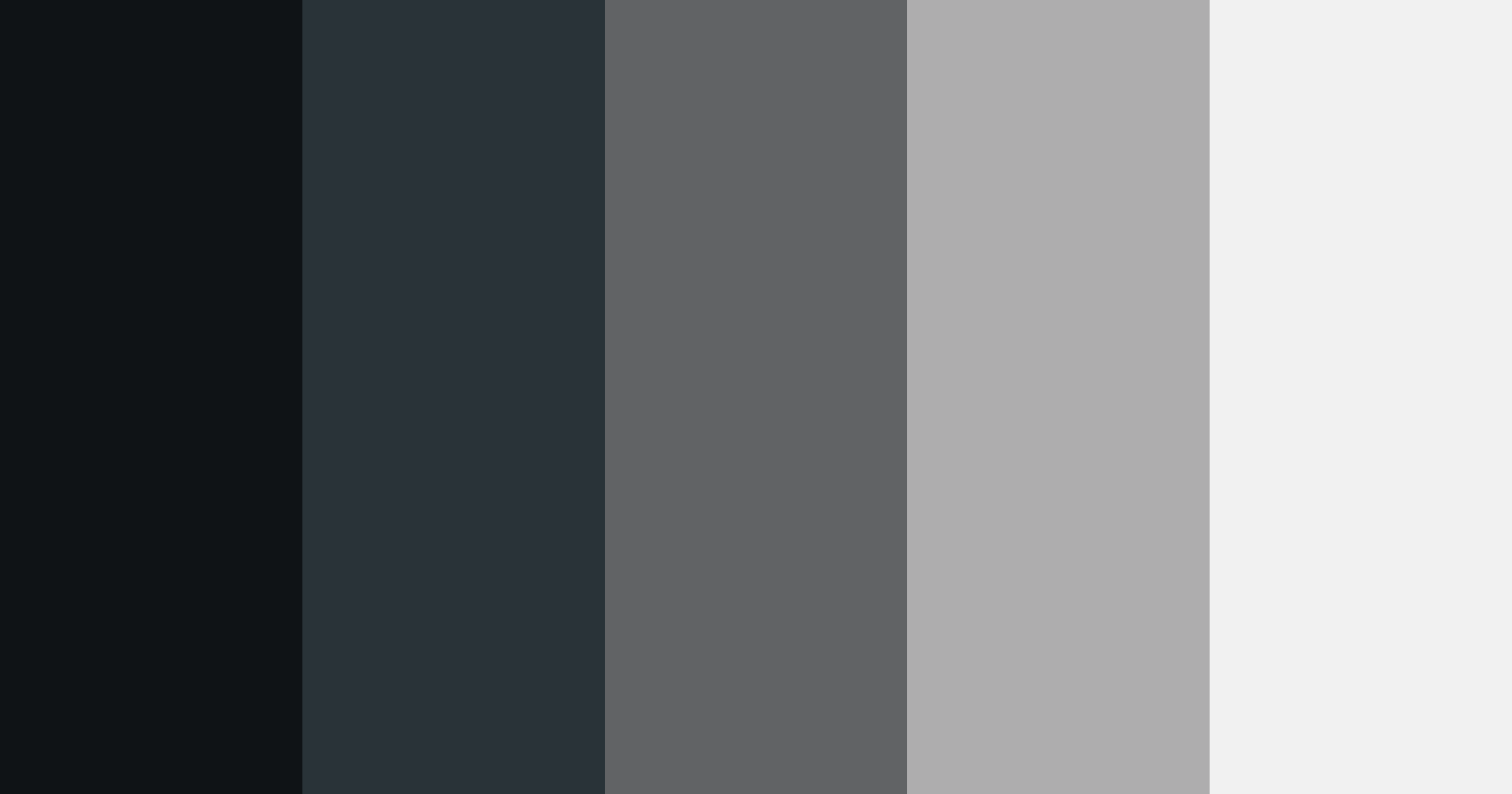 Color Palette generated based on #0F1316, #293338, #616365, #AEADAE ...