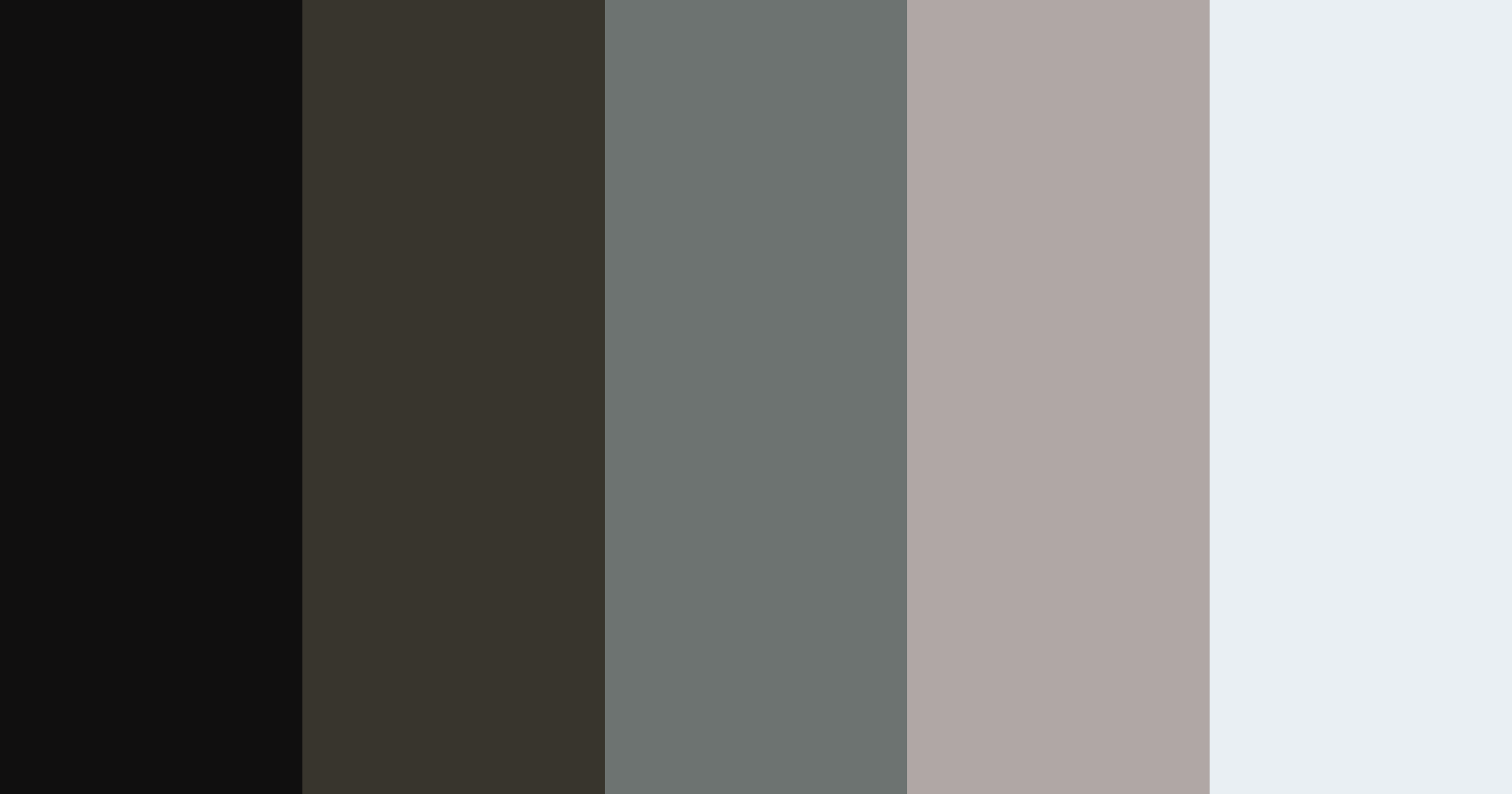 Color Palette generated based on #100F0F, #38352D, #6D7371, #B0A7A5 ...