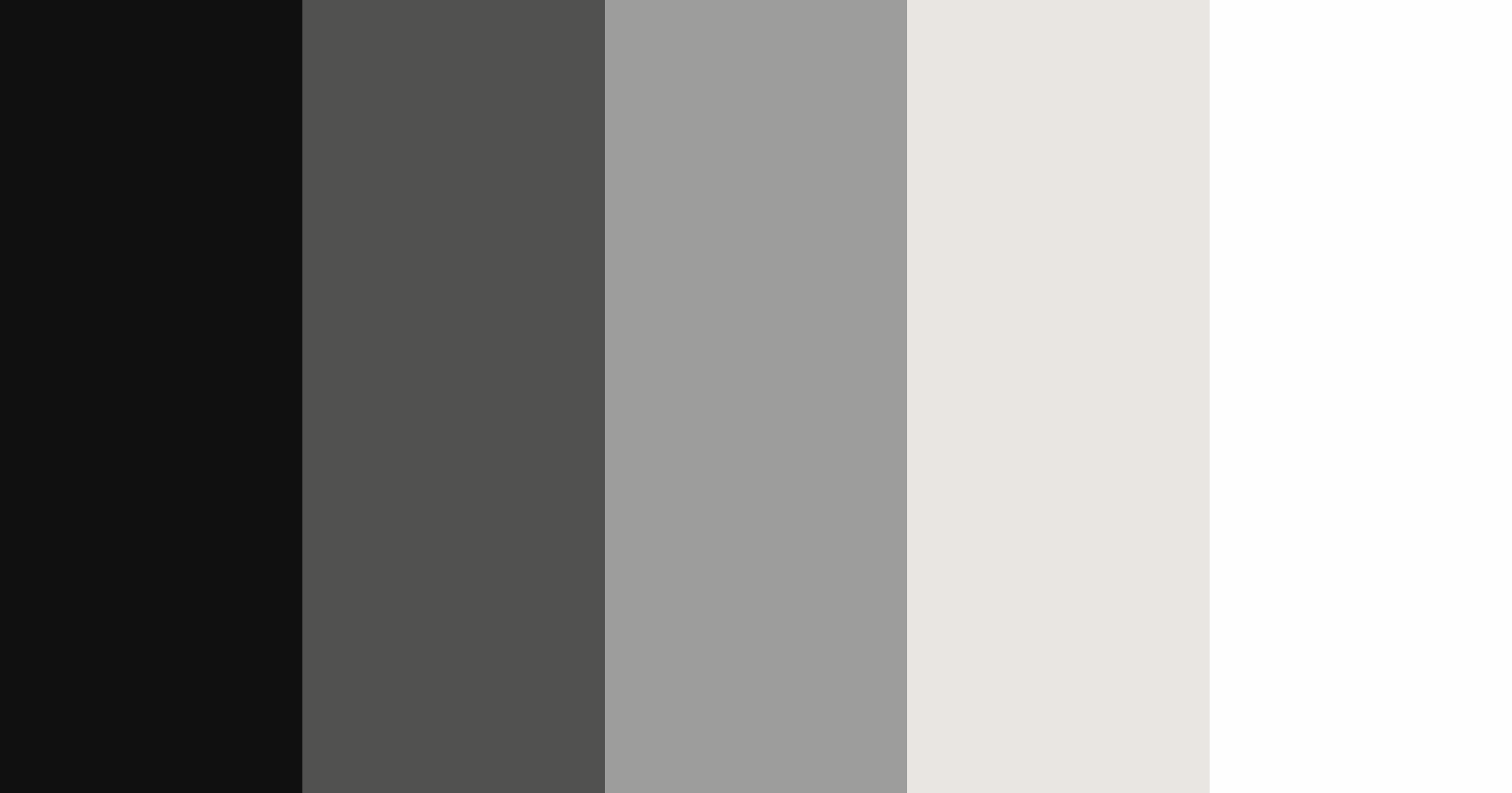 Color Palette generated based on #101010, #515150, #9D9D9C, #E9E6E2 ...