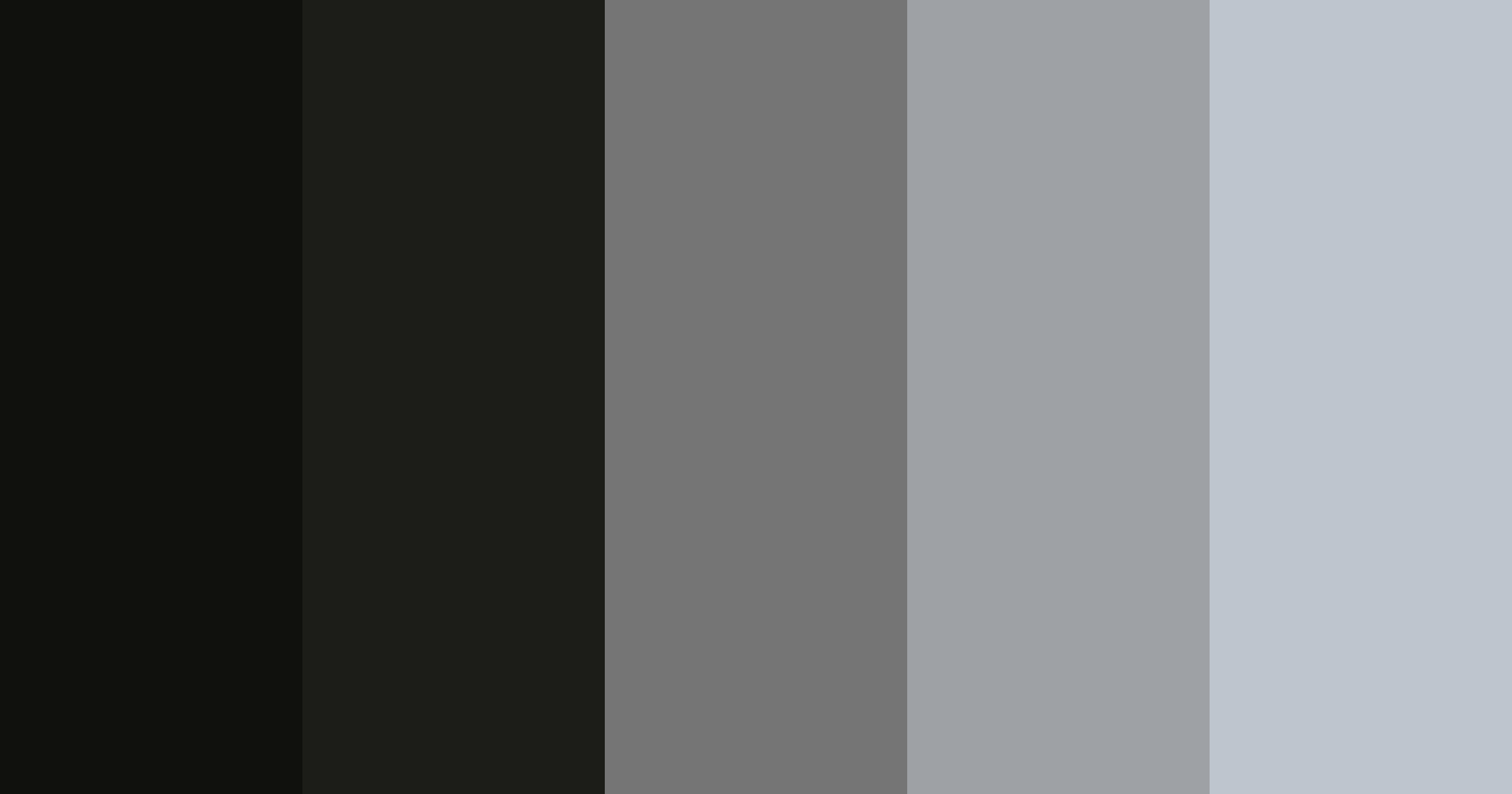 Color Palette generated based on #10110D, #1C1D18, #757575, #9EA1A5 ...