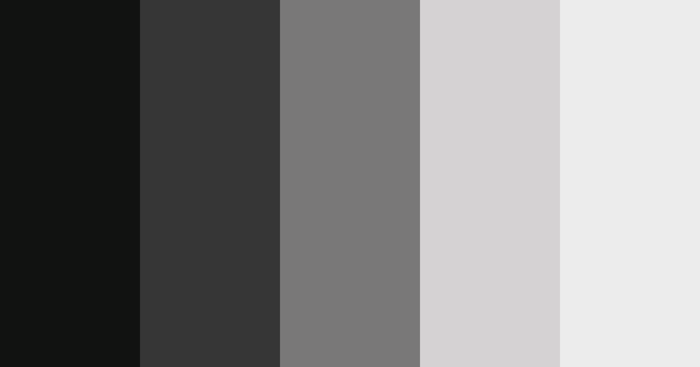 Color Palette generated based on #111211, #363636, #797878, #D5D2D3 ...