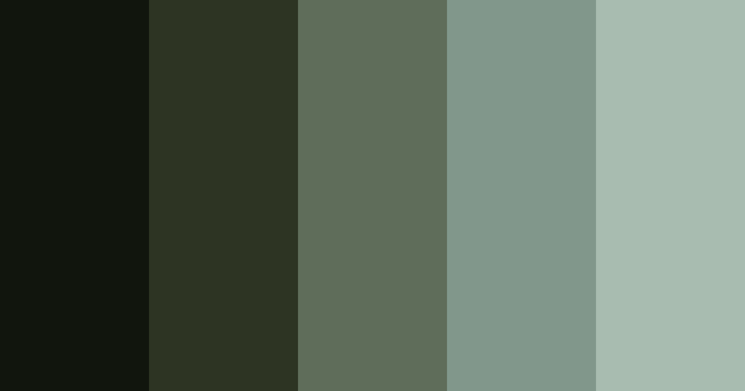 Color Palette generated based on #11150D, #2D3423, #5F6D5A, #81978B ...