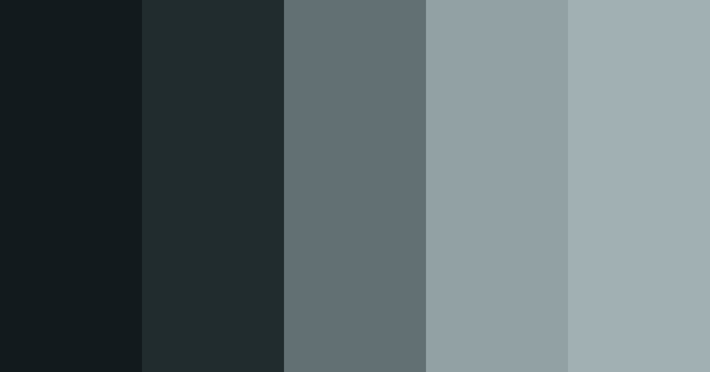 Color Palette generated based on #121A1D, #212C2F, #637073, #92A2A4 ...
