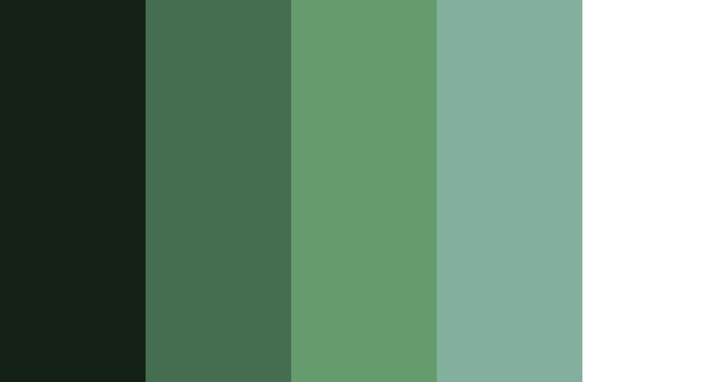 Color Palette generated based on #132016, #456D4F, #669C6D, #83B09C ...