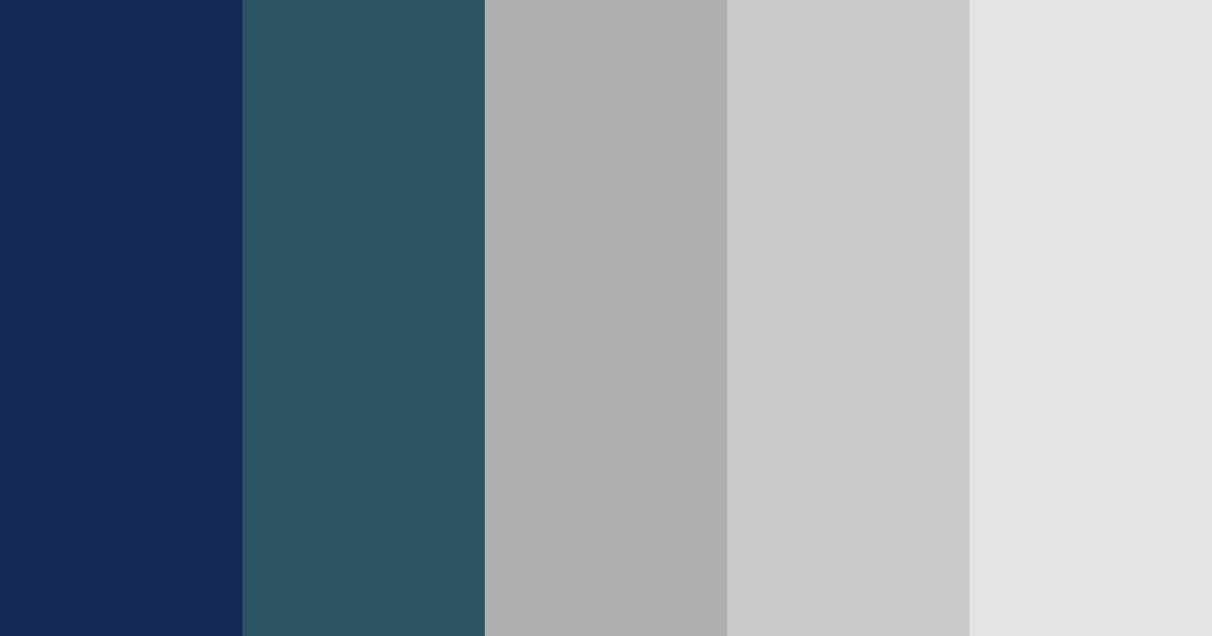 Color Palette generated based on #142B56, #2B5564, #AFAFAF, #CBCBCB ...