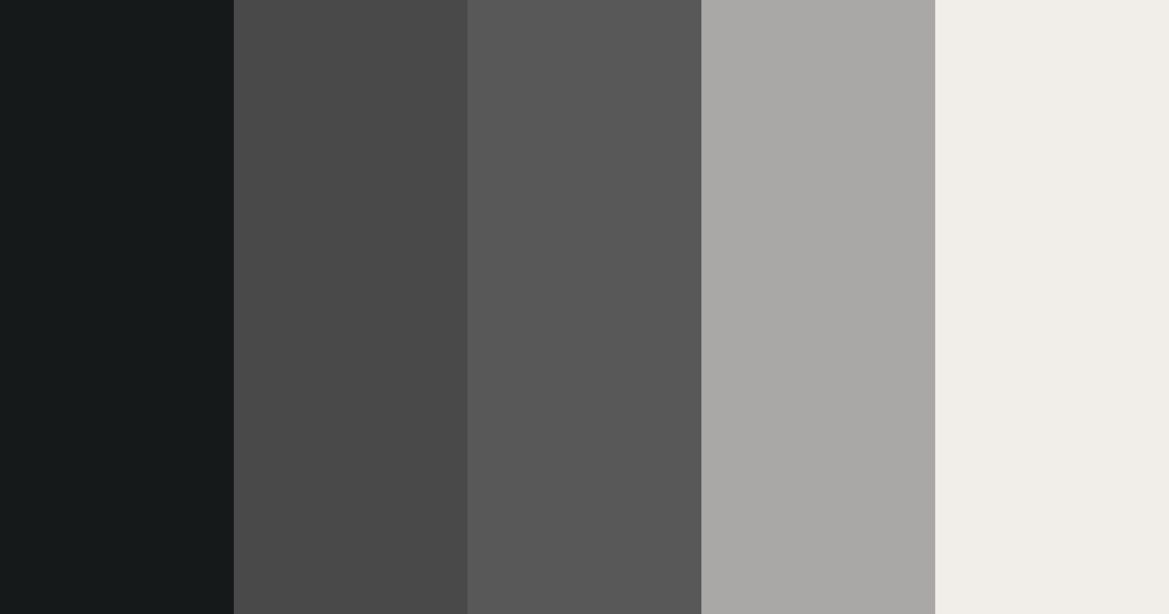 Color Palette generated based on #161919, #494949, #585858, #A9A8A6 ...