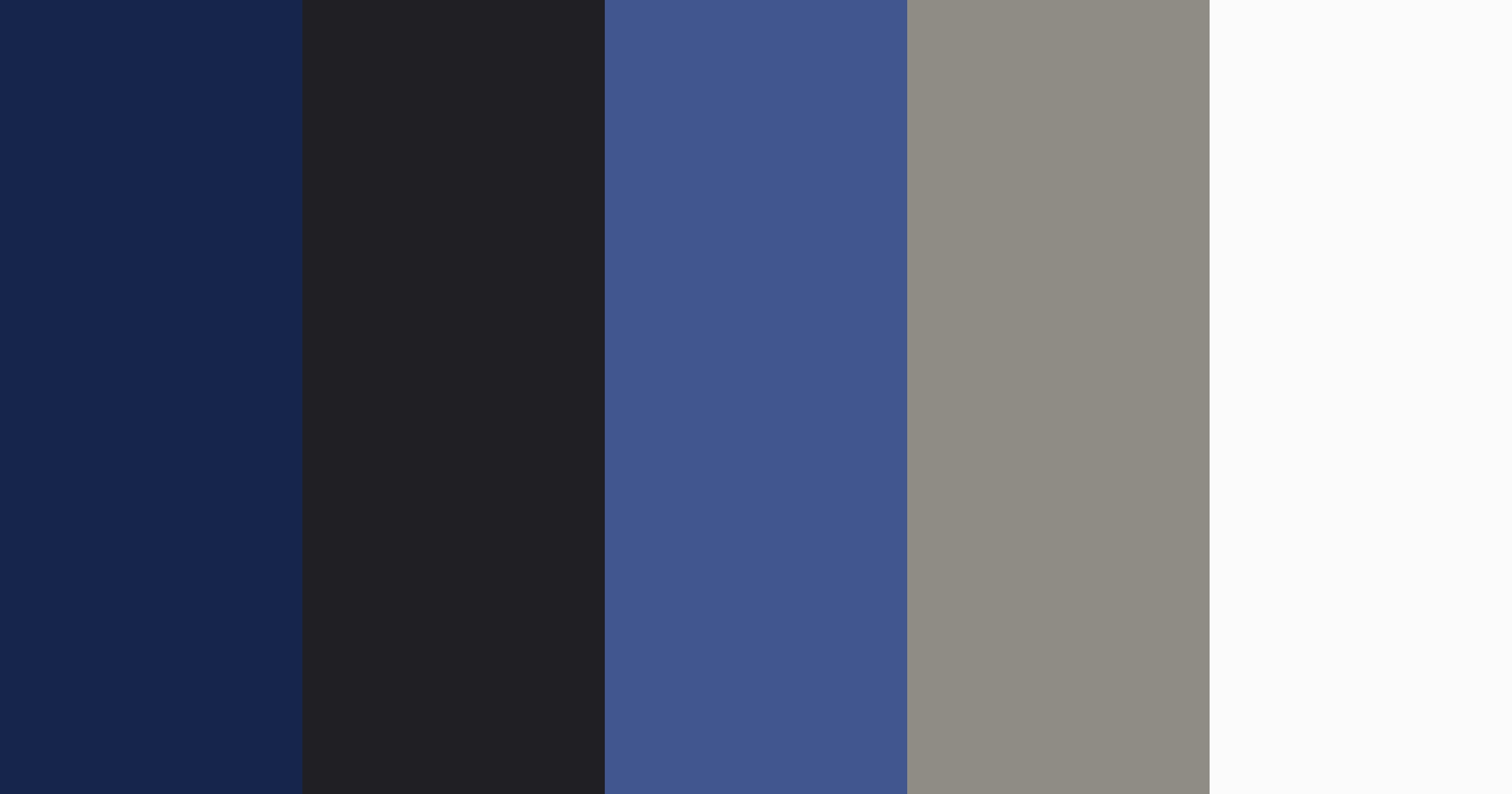 Color Palette generated based on #16254B, #202024, #41568E, #8F8B85 ...