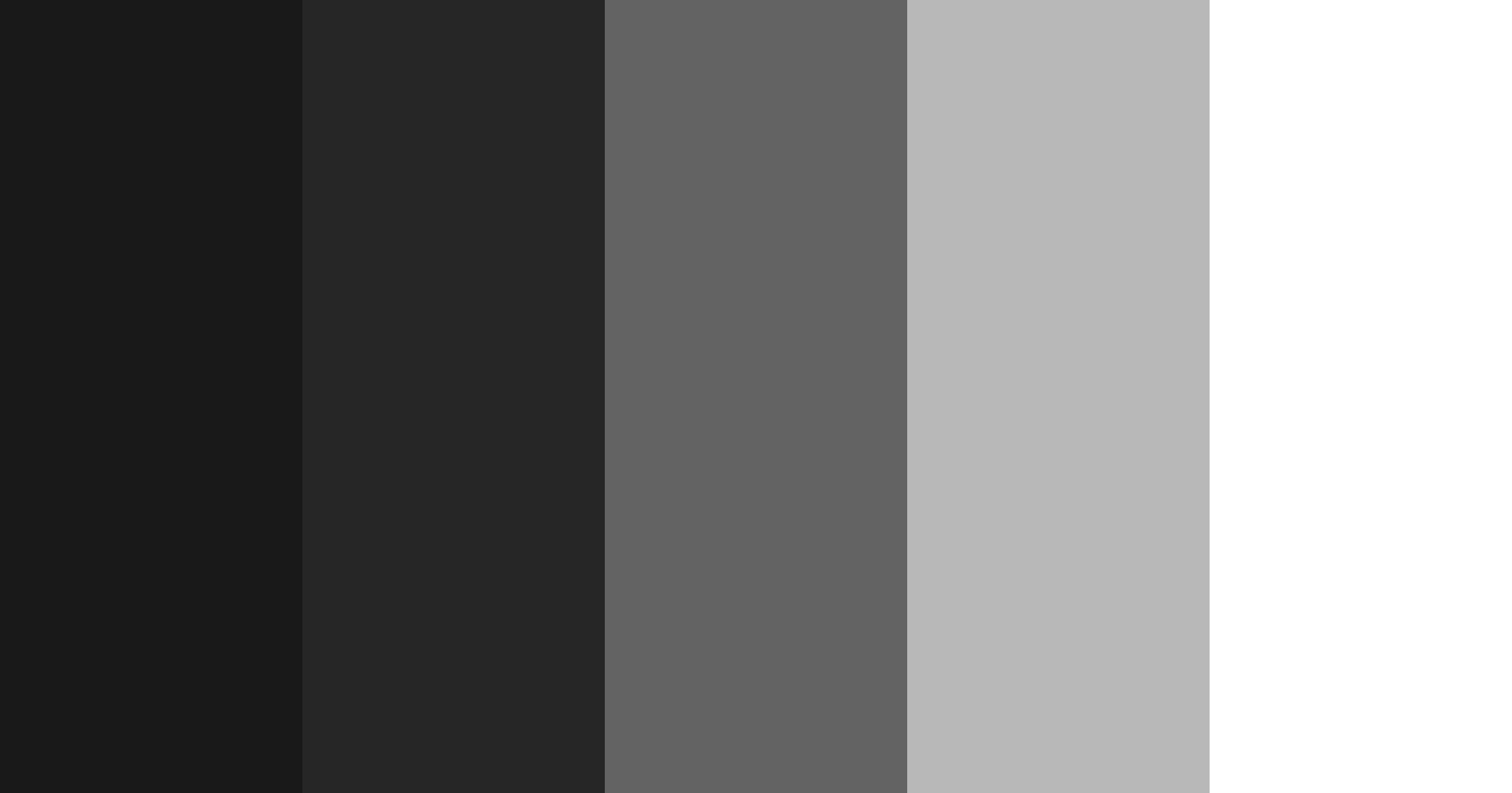 Color Palette generated based on #191919, #262626, #636363, #B8B8B8 ...