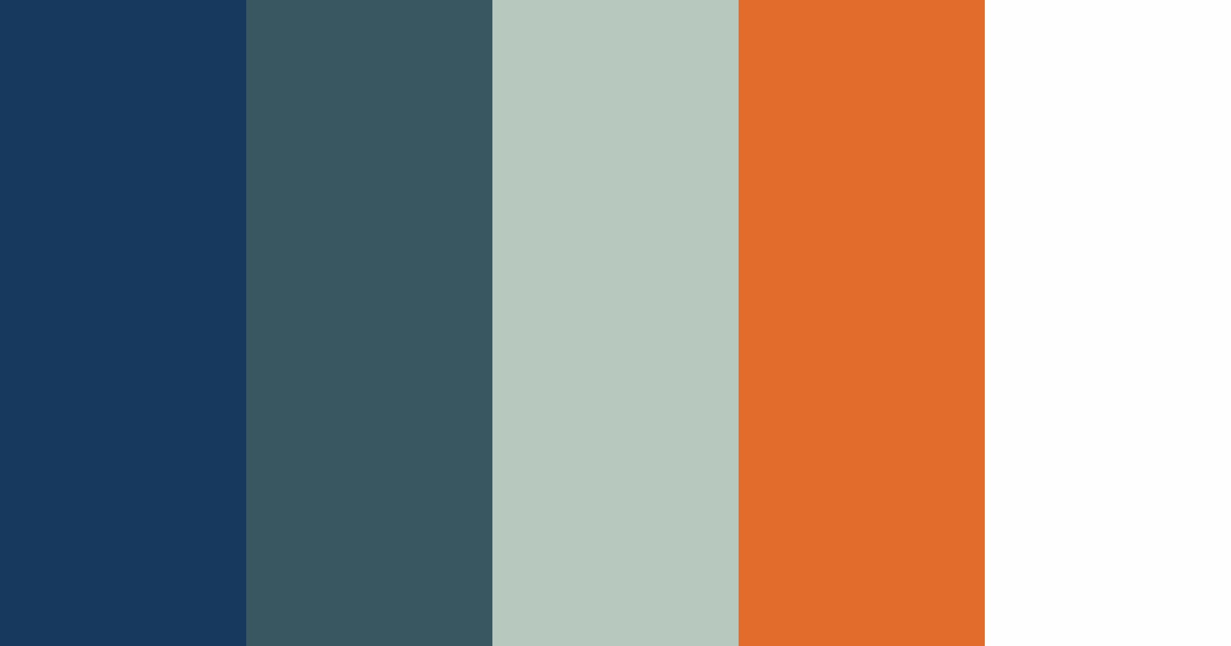 Color Palette generated based on #19395D, #3A5861, #B8C7C0, #E06C2C ...