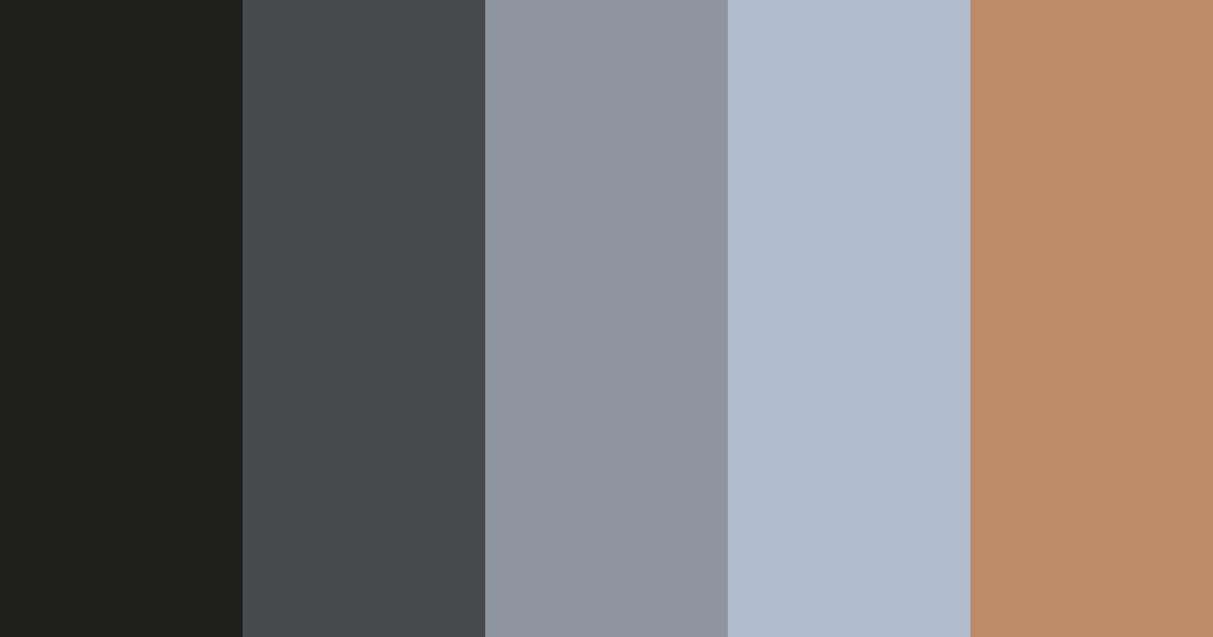 Color Palette generated based on #1E1E1D, #474A4D, #8E95A0, #B1BDCC ...