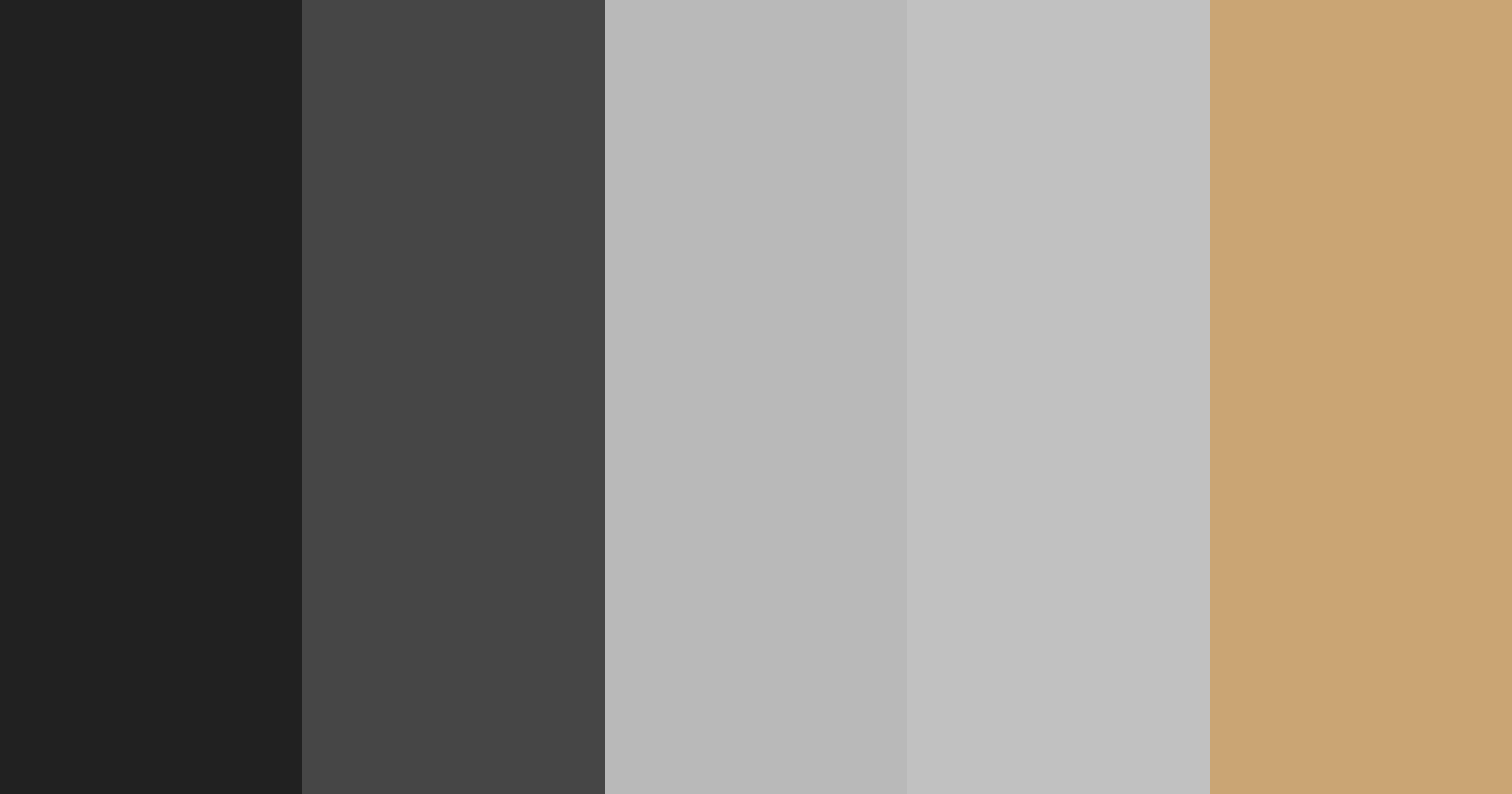 Color Palette generated based on #212121, #464646, #B9B9B9, #C1C1C1 ...