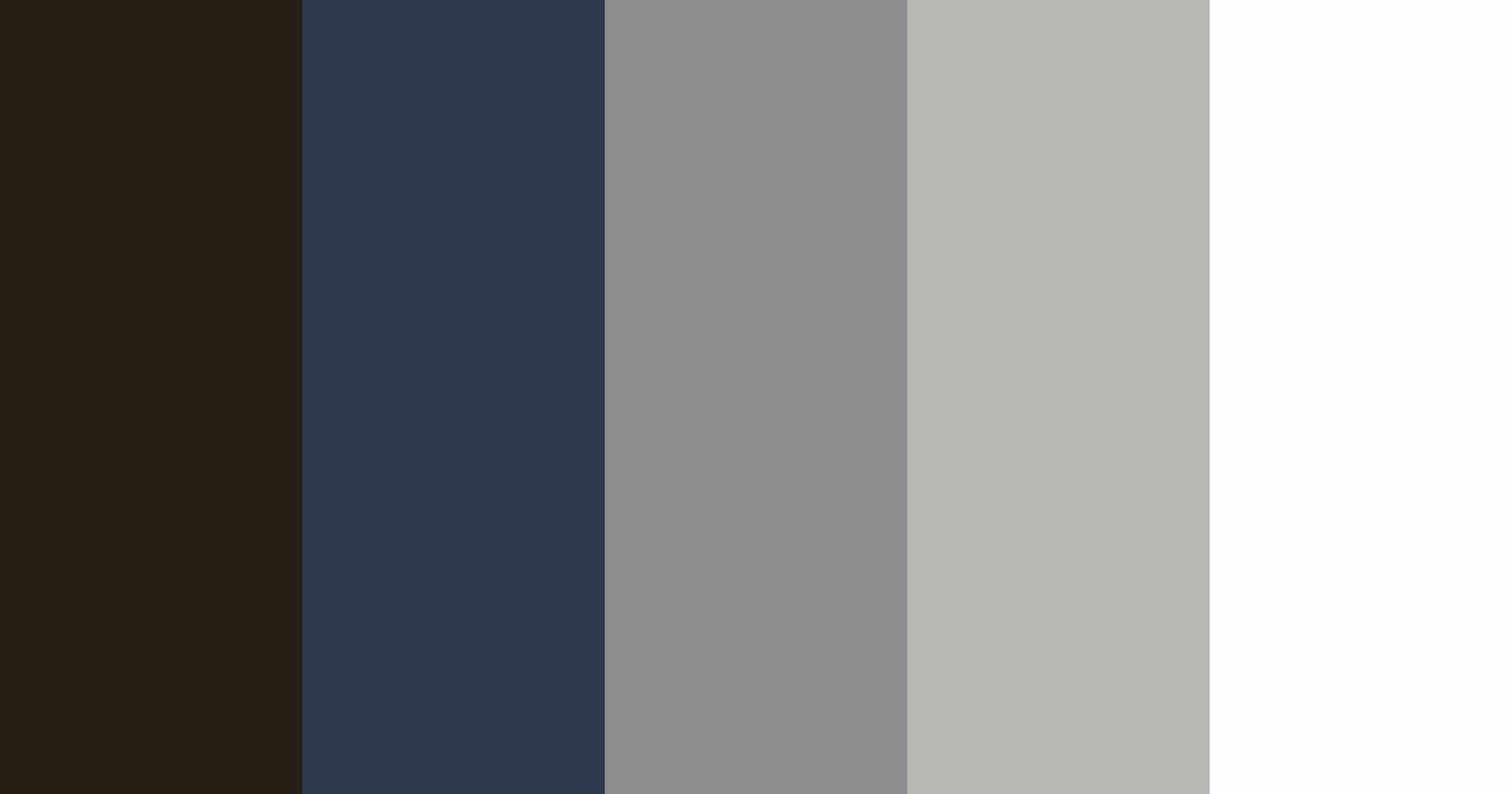 Color Palette generated based on #261F15, #2F394E, #8B8D8F, #B8B8B4 ...