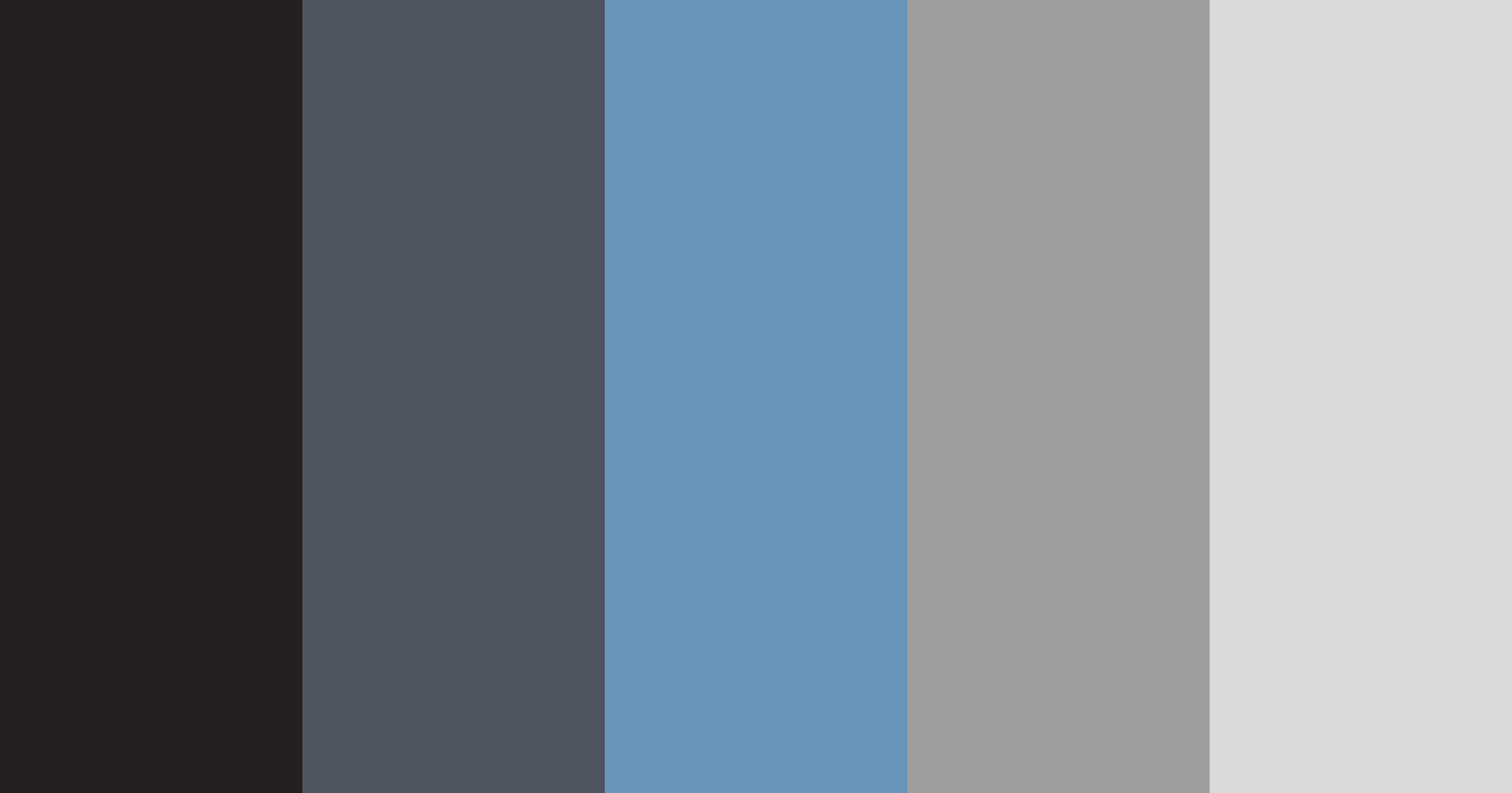 Color Palette generated based on #261F21, #4E5460, #6995B9, #9F9E9D ...