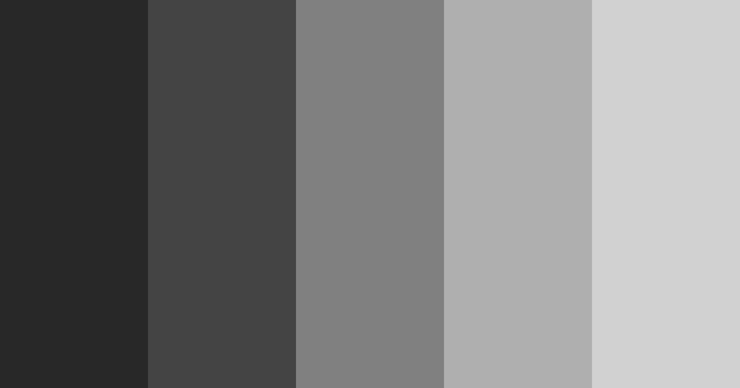 Color Palette generated based on #282828, #444444, #808080, #AFAFAF ...