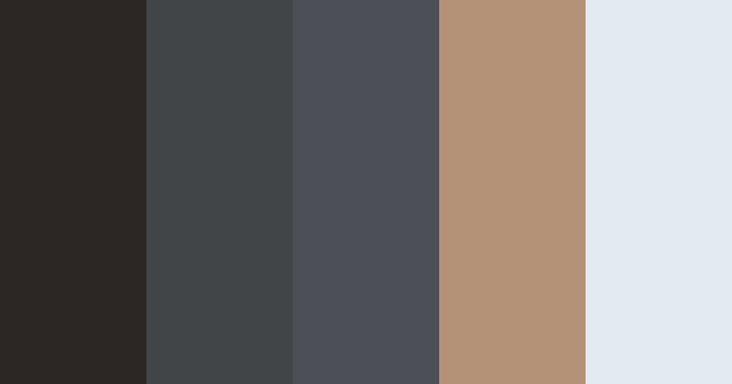 Color Palette generated based on #2C2624, #424548, #4C4F55, #B49277 ...