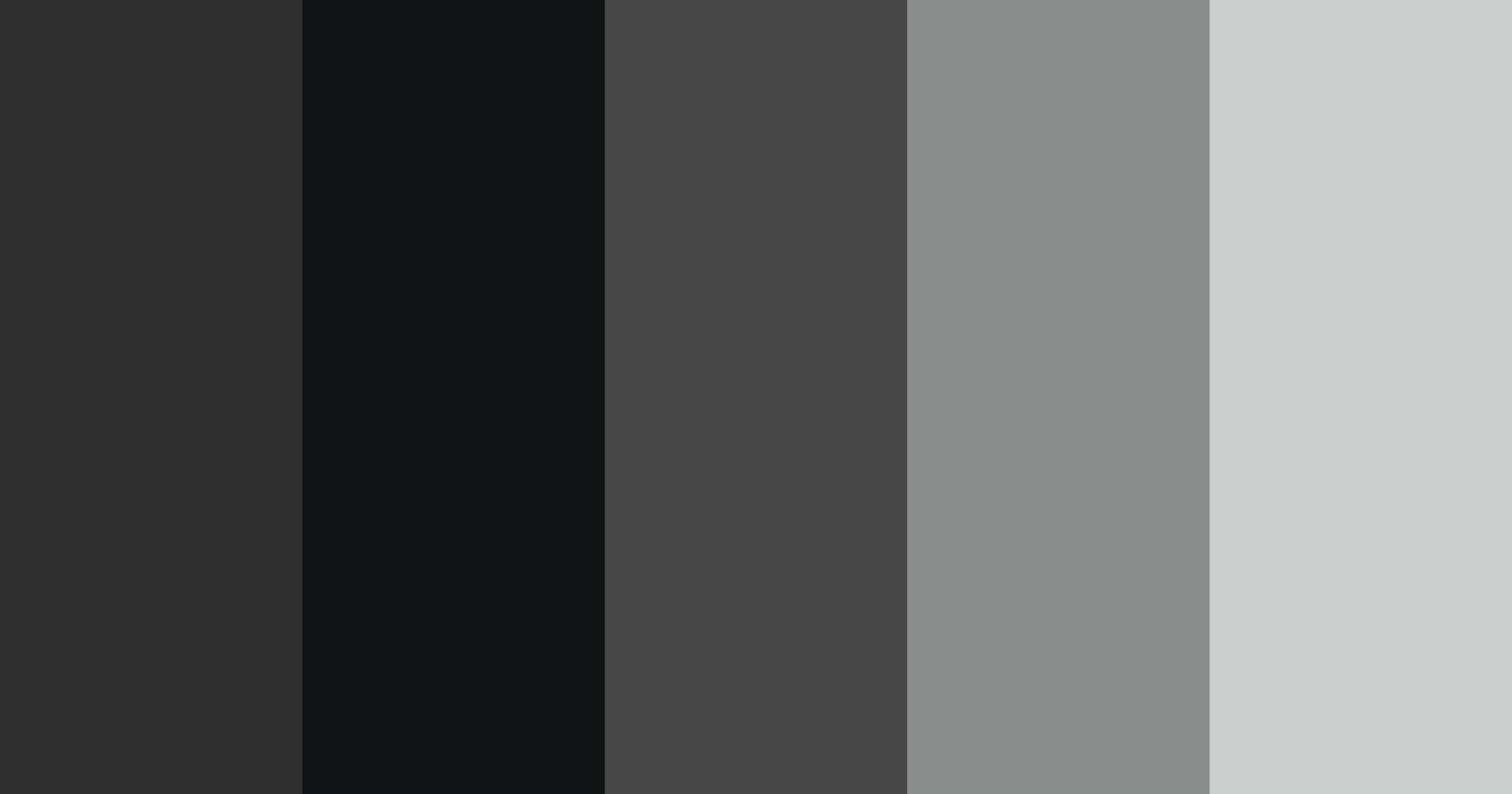 Color Palette generated based on #2F2F2F, #101313, #474747, #8B8C8C ...