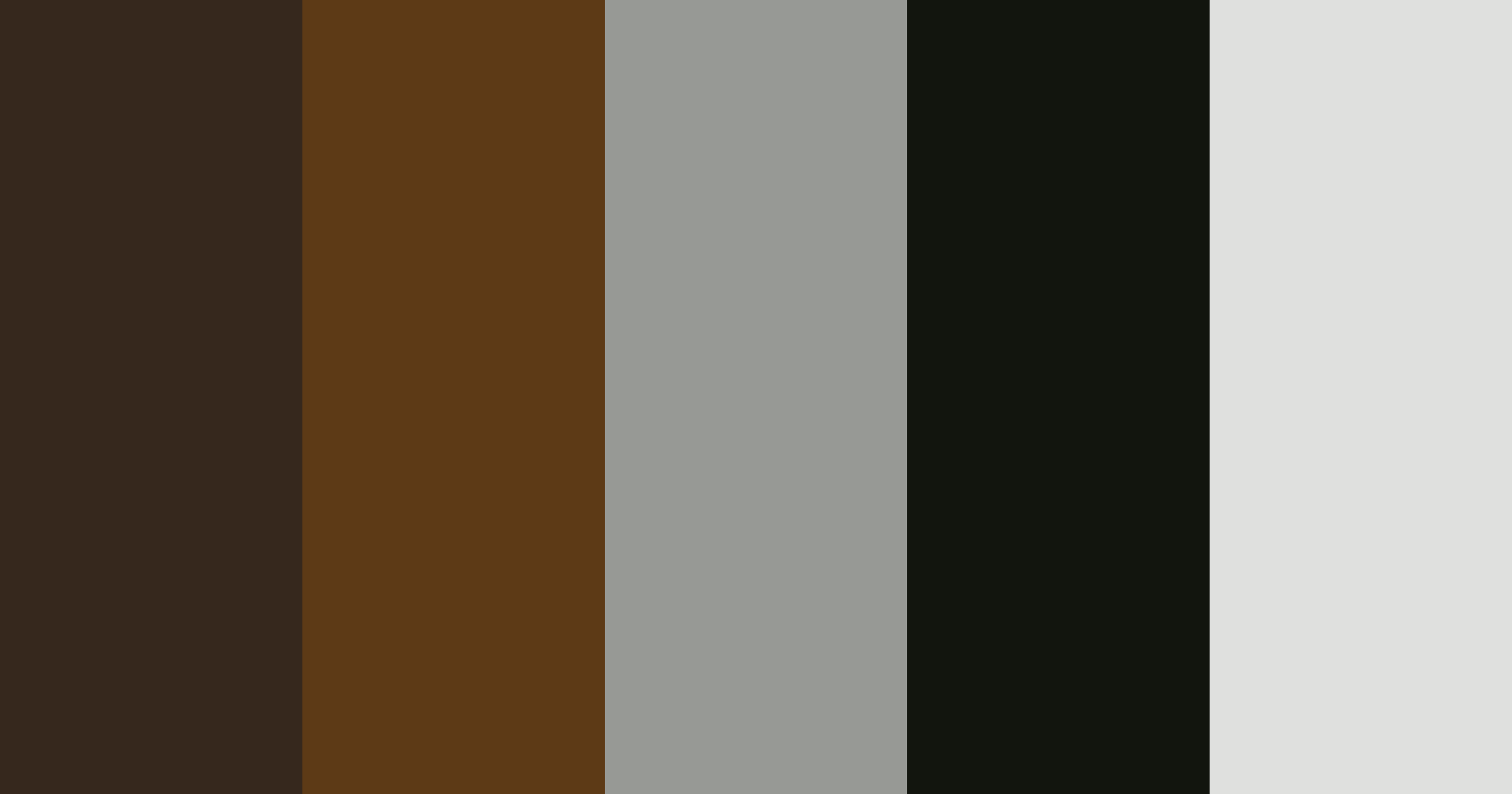 Color Palette generated based on #36281D, #5D3A16, #979995, #12150E ...