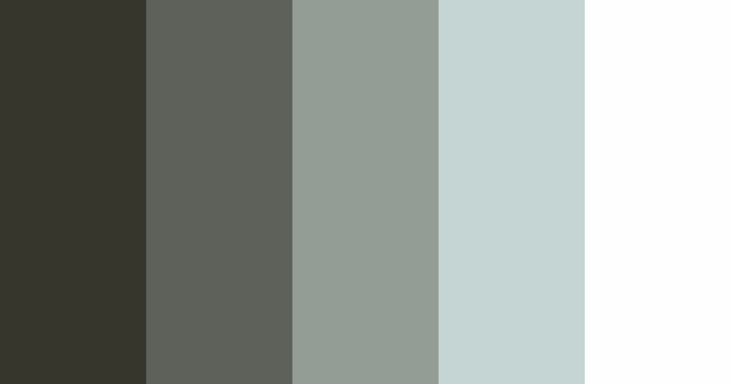 Color Palette generated based on #36362D, #5E6159, #949C96, #C4D5D3 ...