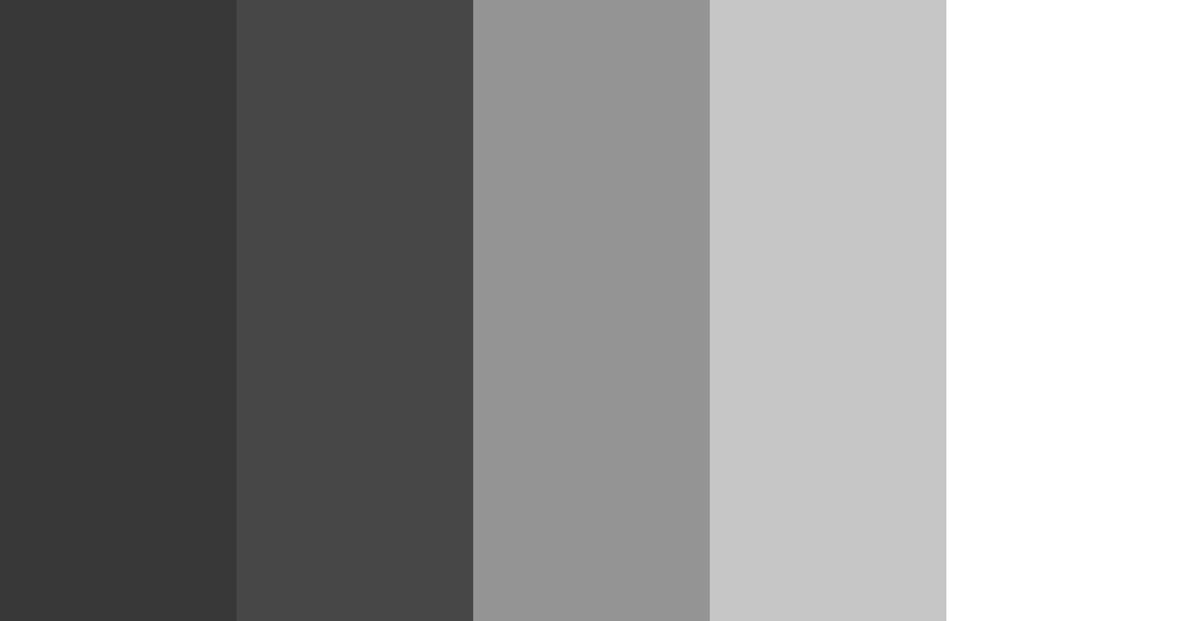 Color Palette generated based on #383838, #474747, #949494, #C6C6C6 ...