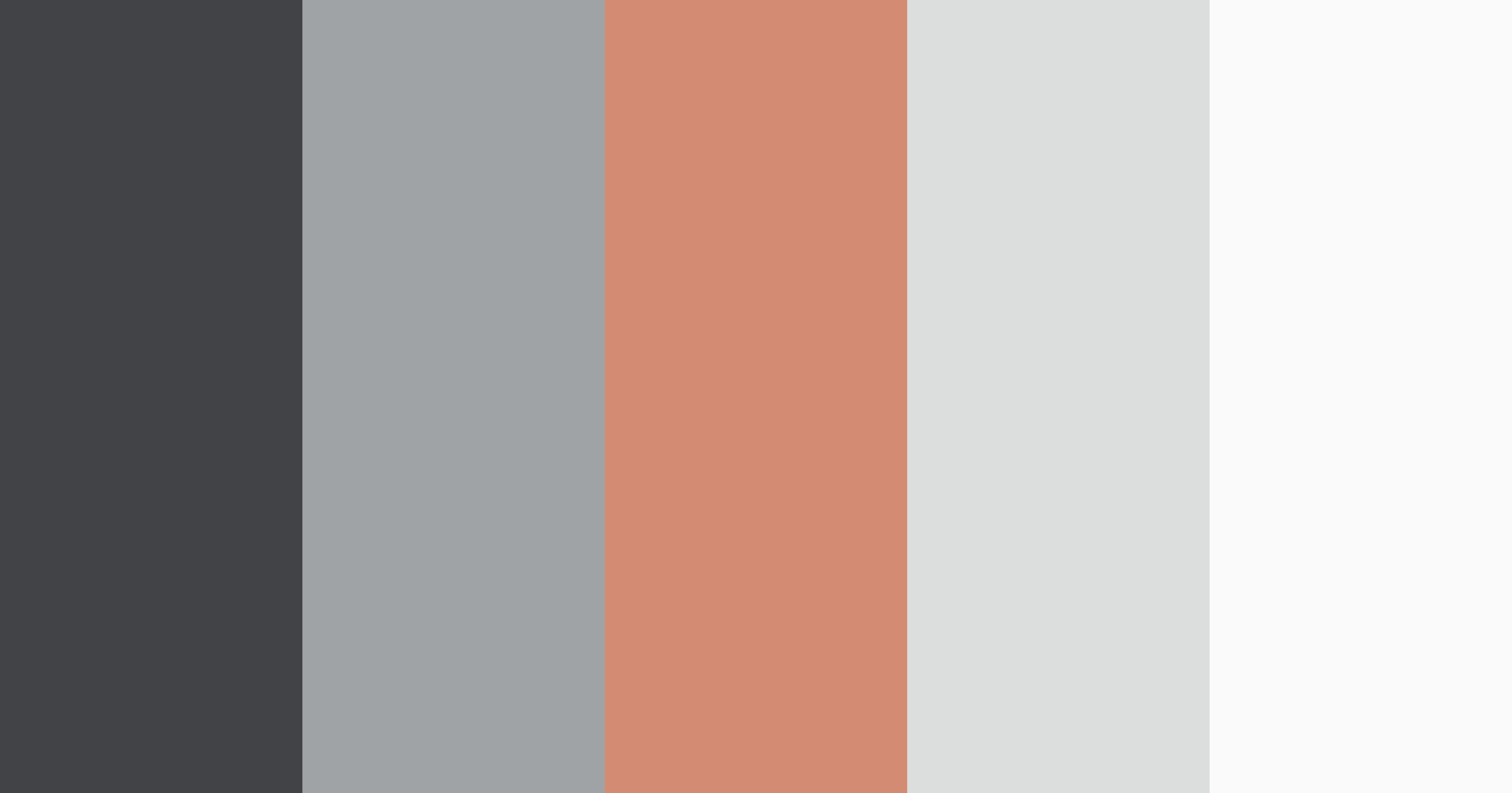 Color Palette generated based on #424347, #A0A3A5, #D38C73, #DCDDDD ...