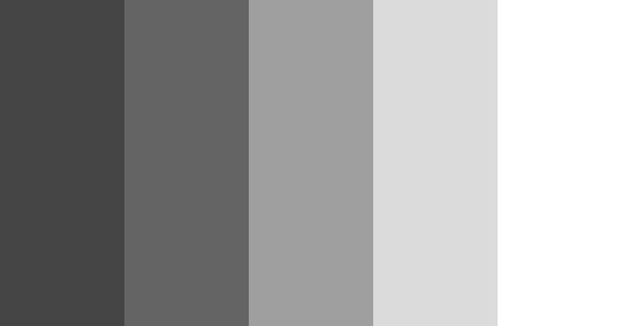Color Palette generated based on #454545, #646464, #9F9F9F, #DBDBDB ...