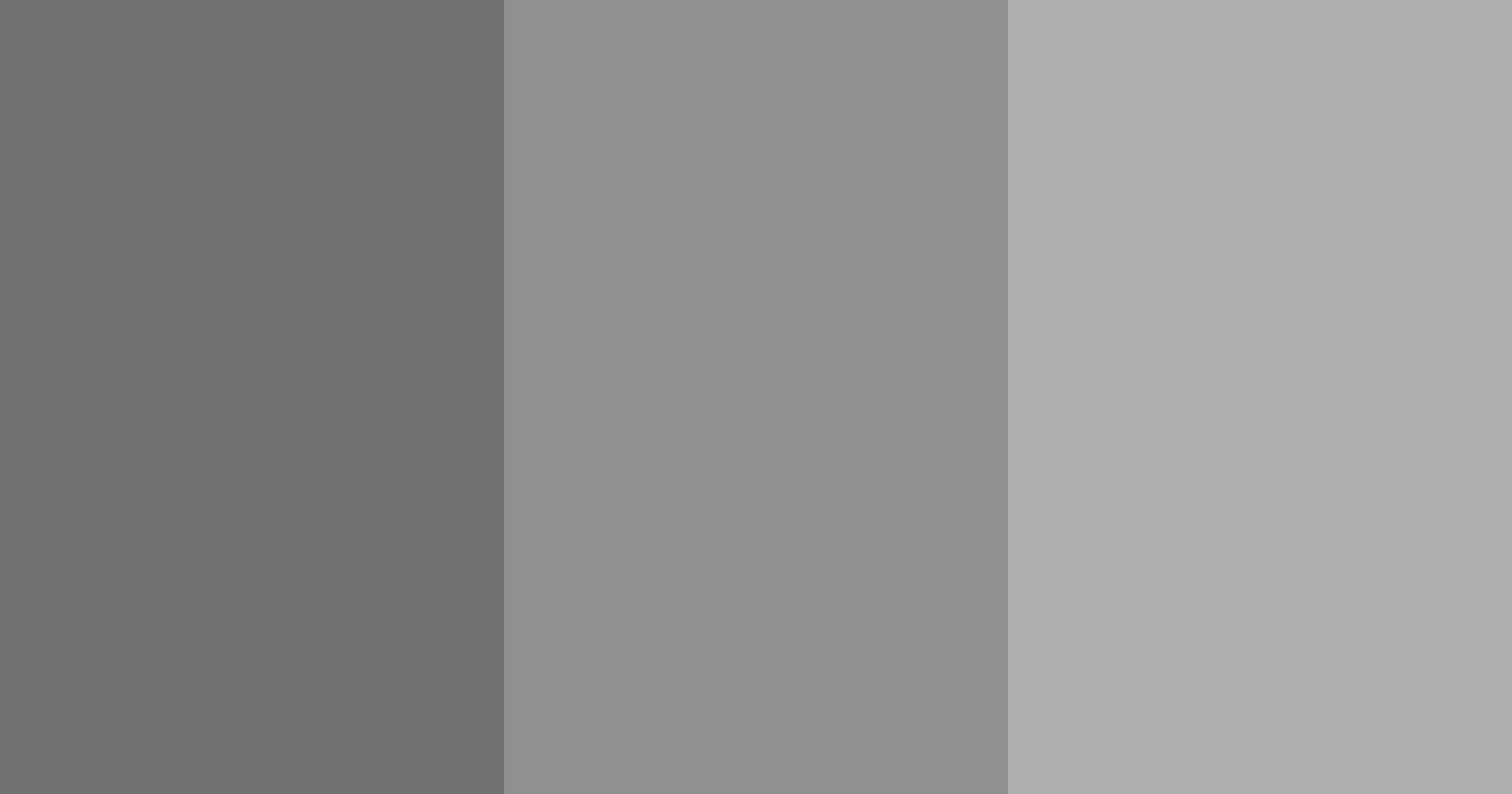 Color Palette generated based on #717171, #909090, and #AFAFAF.