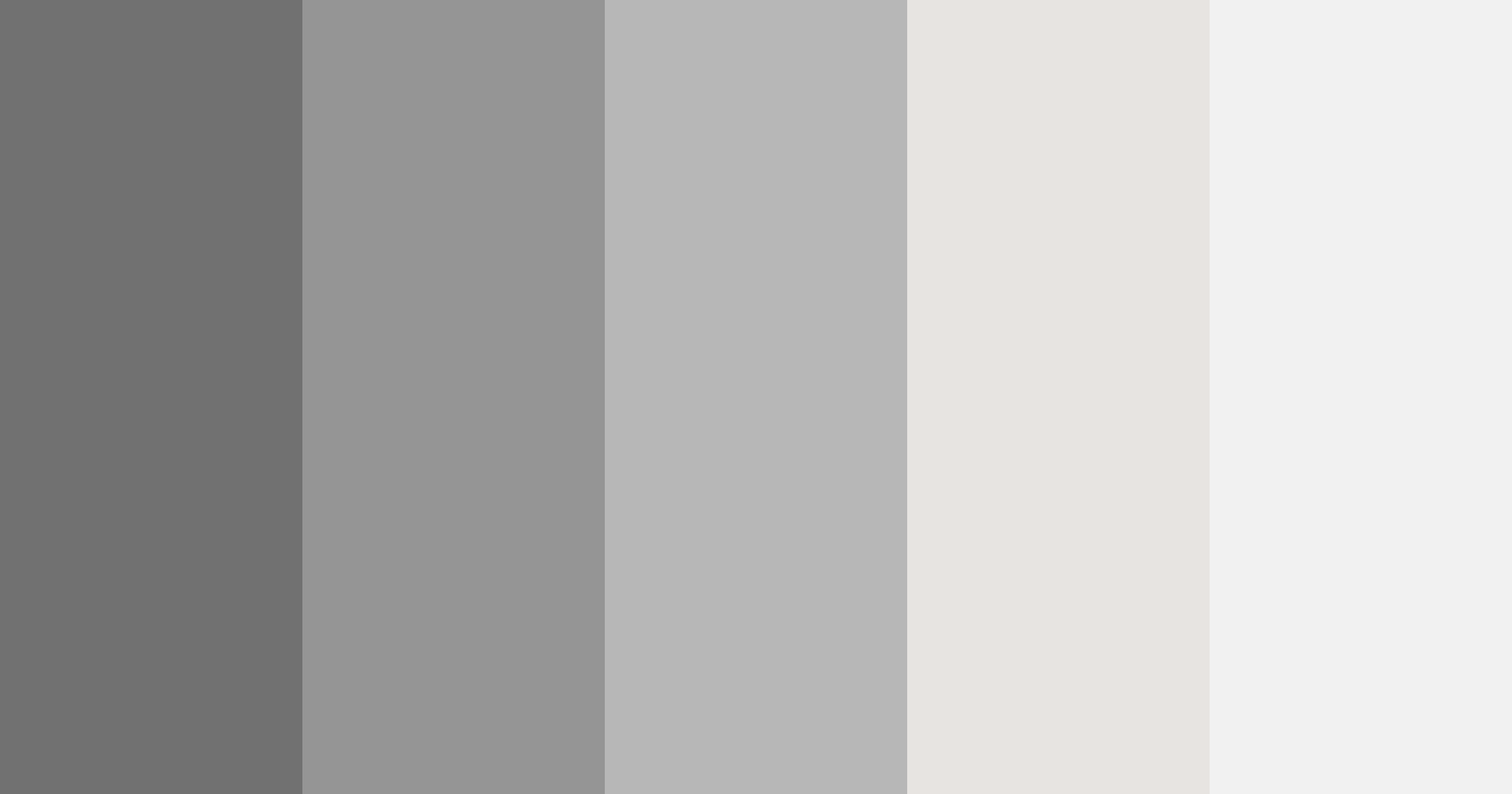 Color Palette generated based on #717171, #959595, #B7B7B7, #E7E4E1 ...