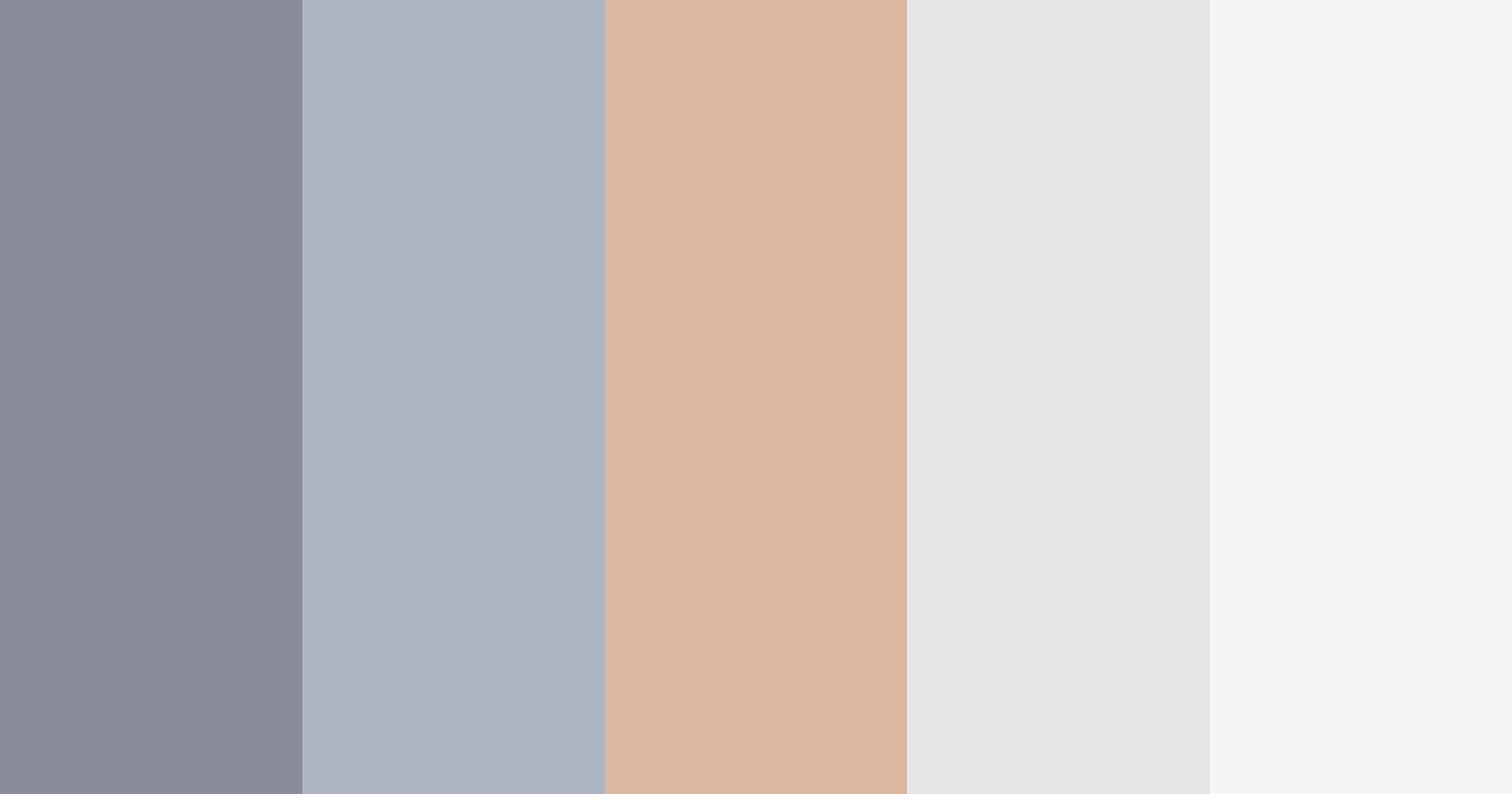 Color Palette generated based on #898D98, #AFB7C1, #DCB79E, #E5E6E6 ...