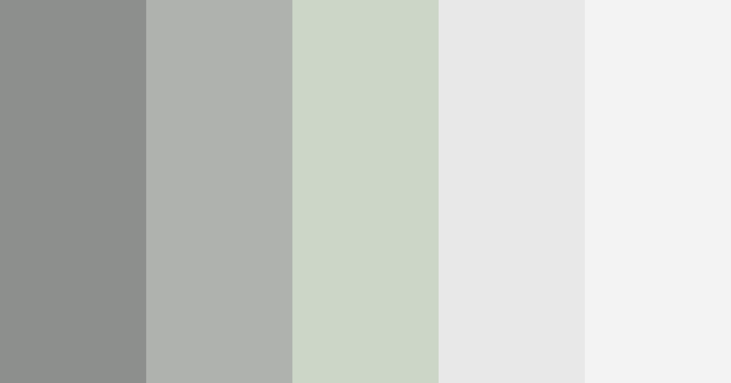 Color Palette generated based on #8D8F8D, #AFB2AE, #CCD6C7, #E8E8E8 ...