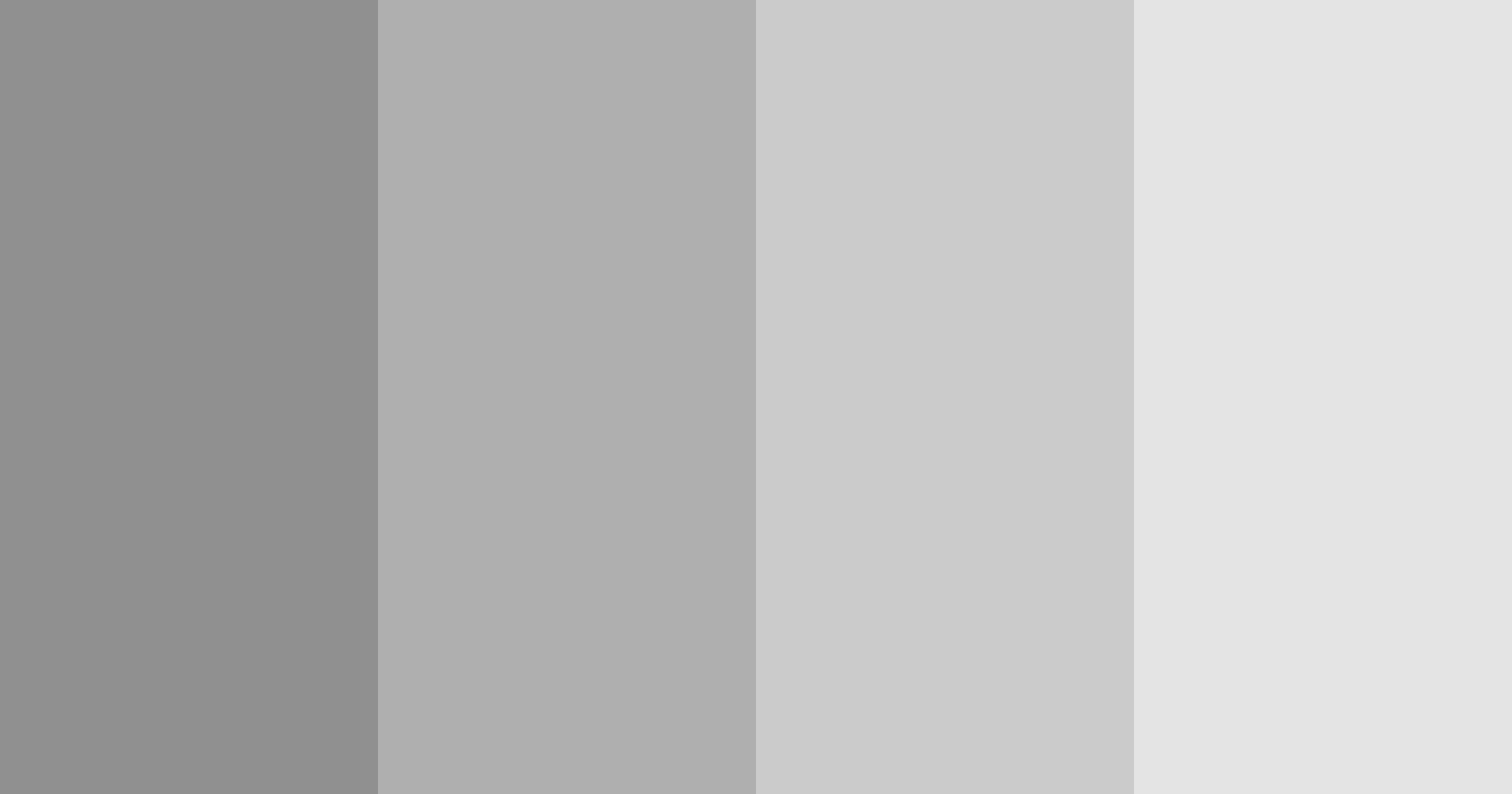 Color Palette generated based on #909090, #AFAFAF, #CBCBCB, and #E4E4E4.