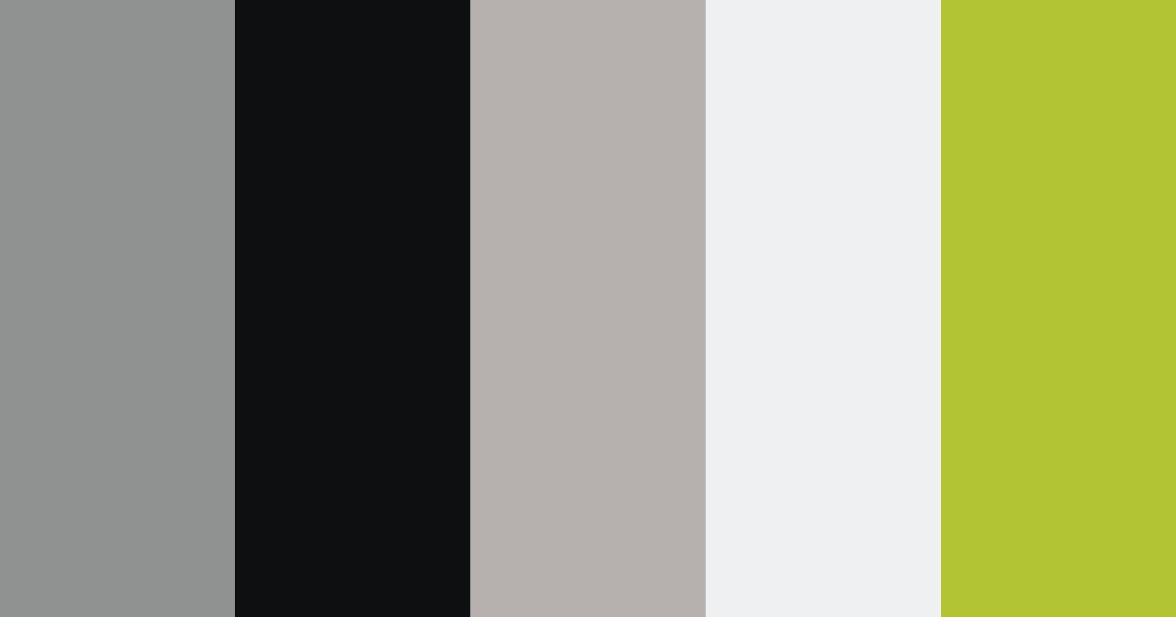 Color Palette generated based on #909191, #0E0F11, #B6B1AF, #EFF0F2 ...