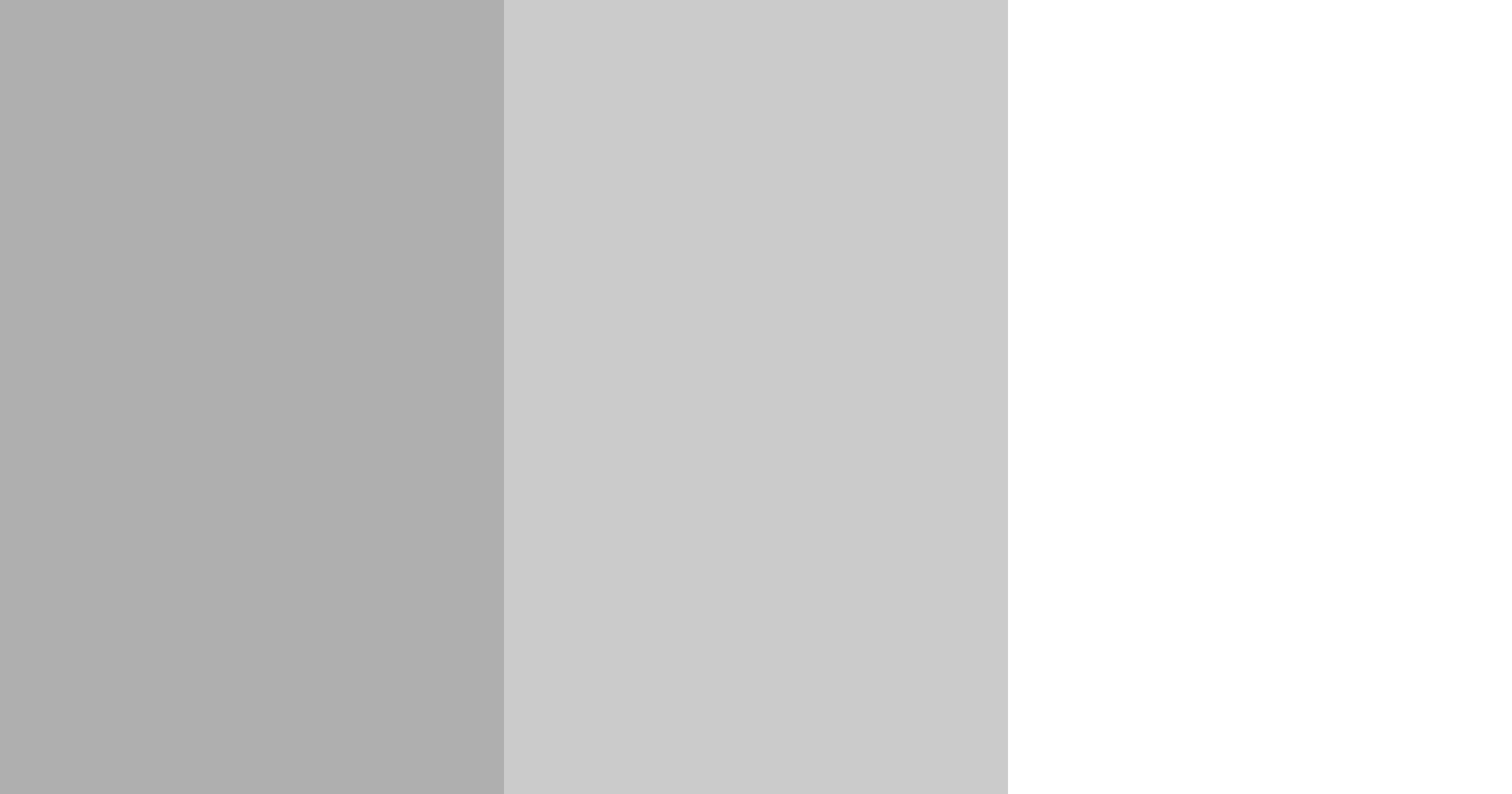 Color Palette generated based on #AFAFAF, #CBCBCB, and #FFFFFF.