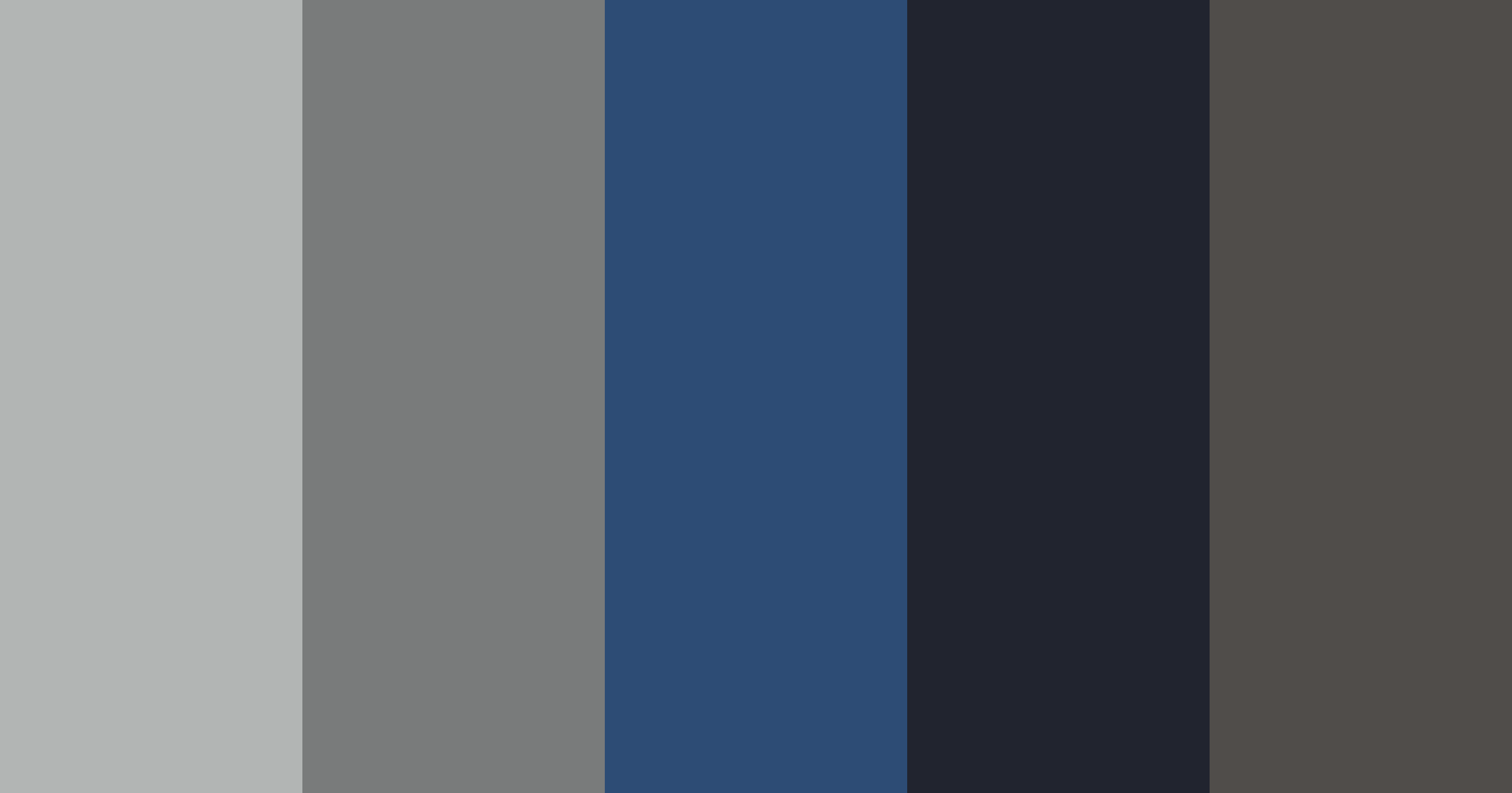 Color Palette generated based on #B2B5B4, #797B7B, #2D4C75, #21242F ...