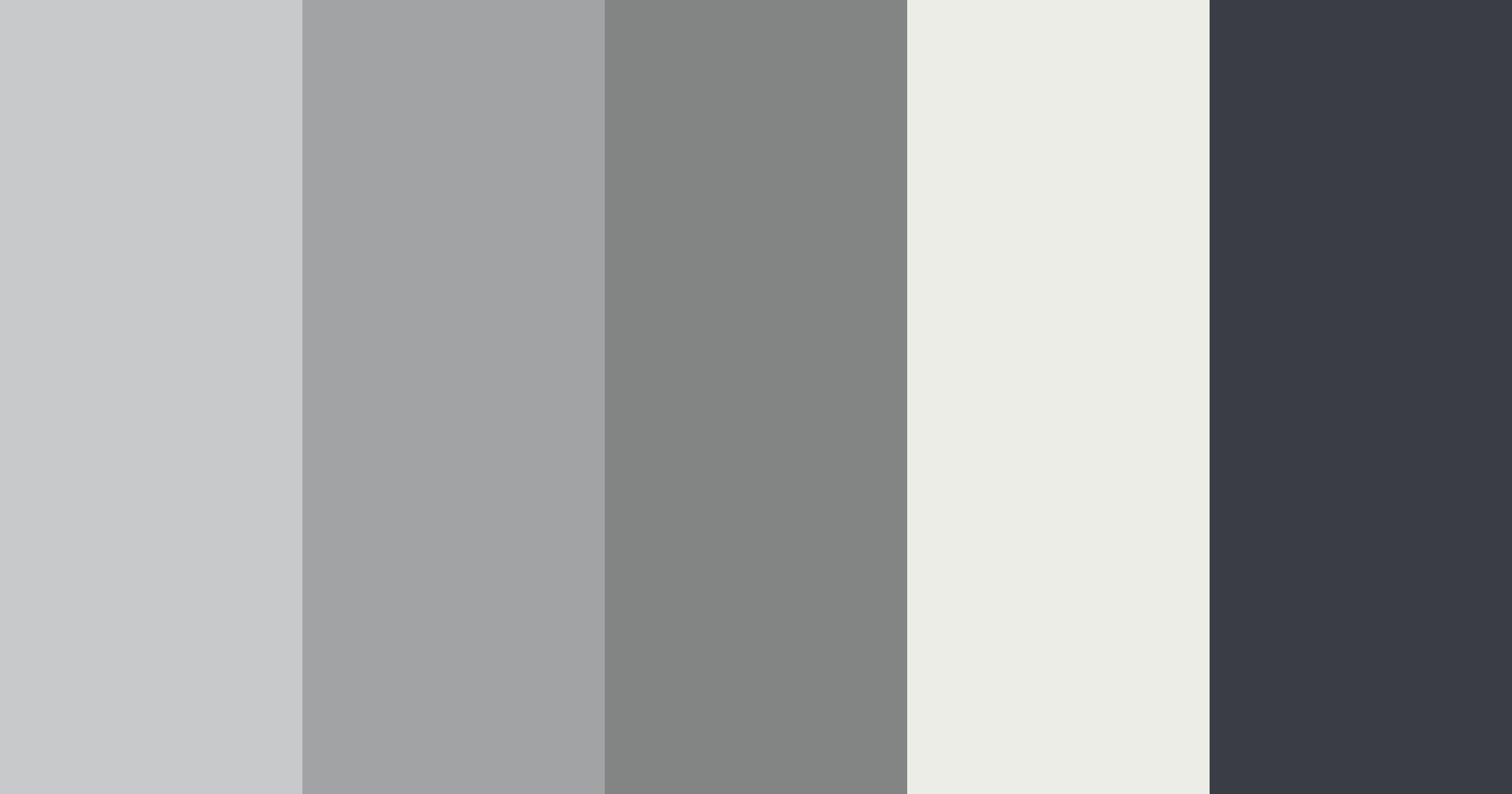 Color Palette generated based on #C8C9CA, #A2A3A4, #828584, #ECEDE7 ...